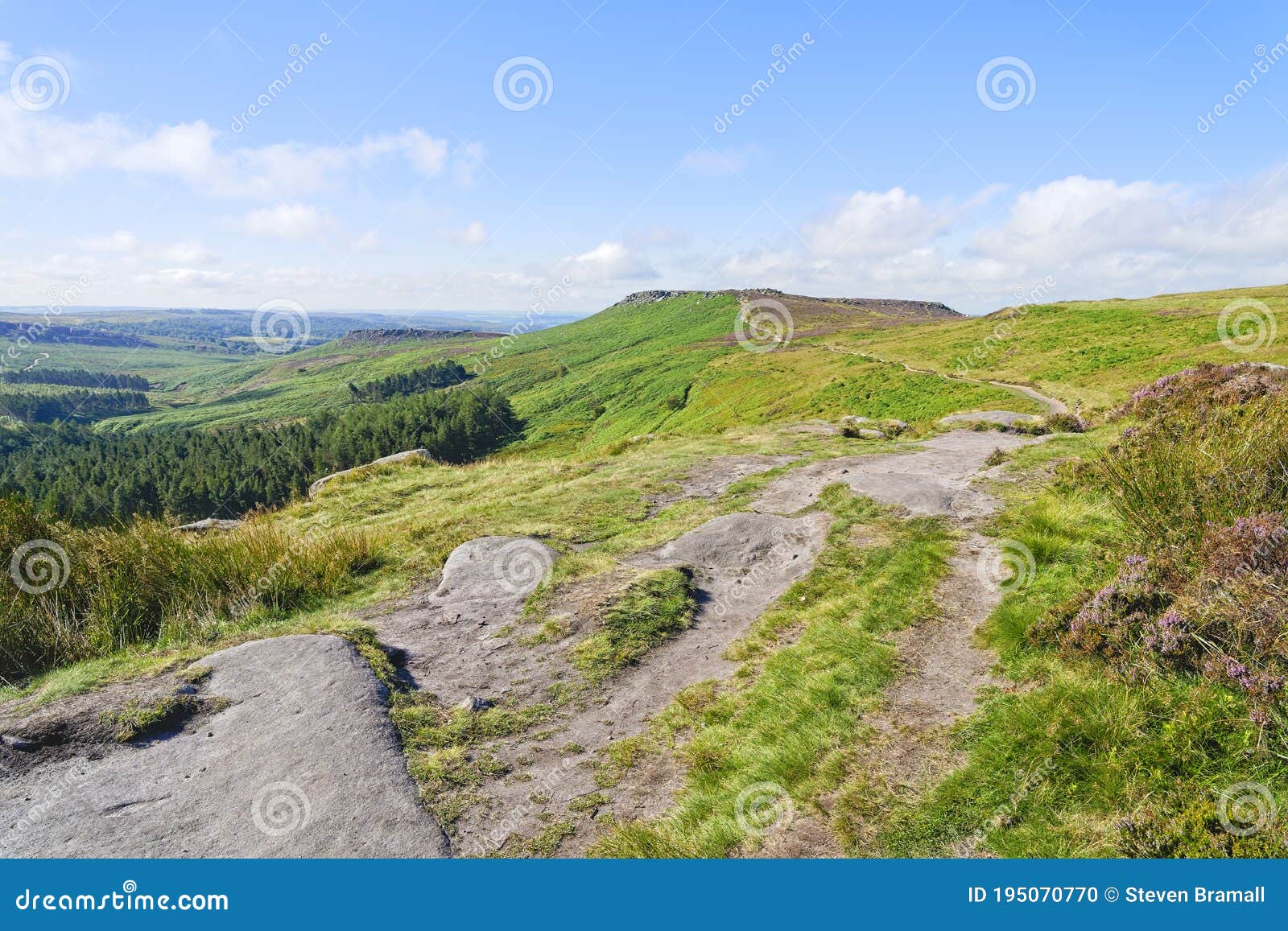Long And Winding Road Royalty-Free Stock Image | CartoonDealer.com ...