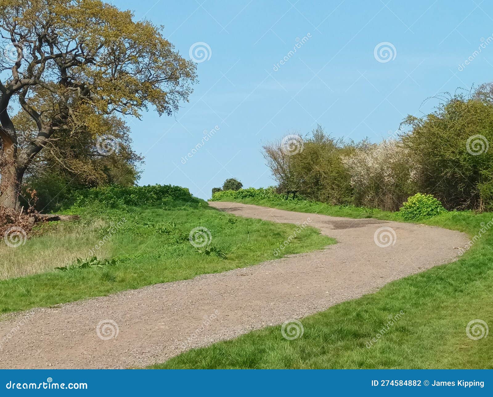 The Long and winding path stock photo. Image of plain - 274584882