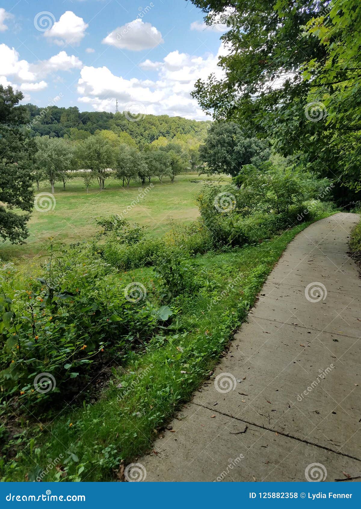 Lovely walk stock photo. Image of nature, path, walk - 125882358