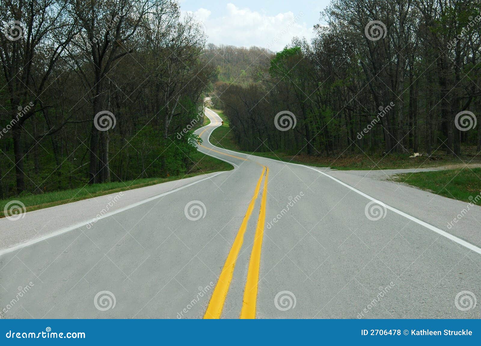 Long winding road stock photo. Image of curvy, trees, outdoors - 2706478