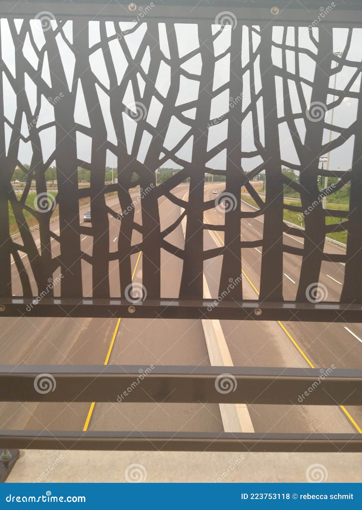 A Long Winding Wooded Bridge In The Forest Surrounded By Lush Green ...