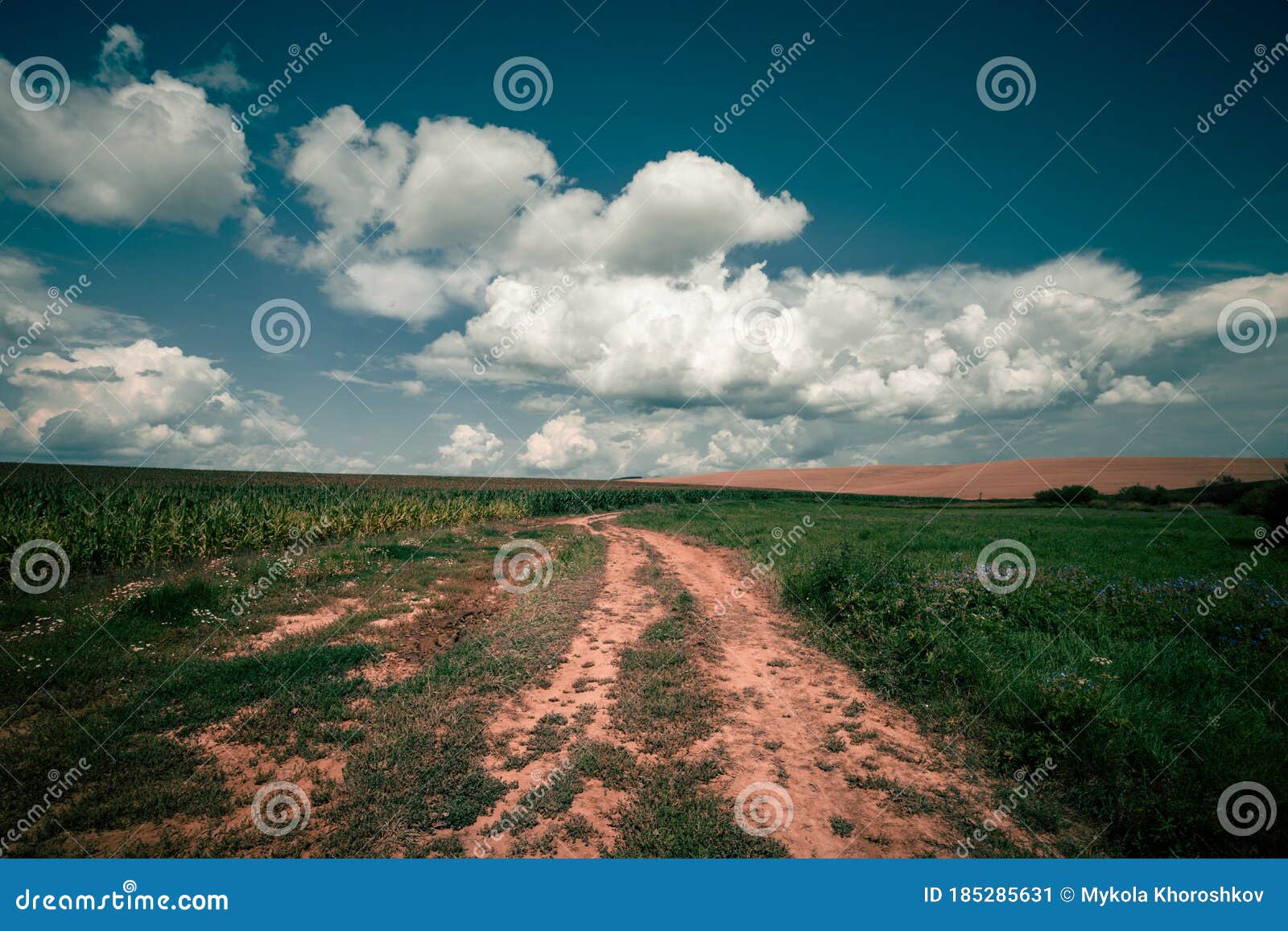 Long and Winding Rural Path Crosses the Hills Stock Image - Image of ...