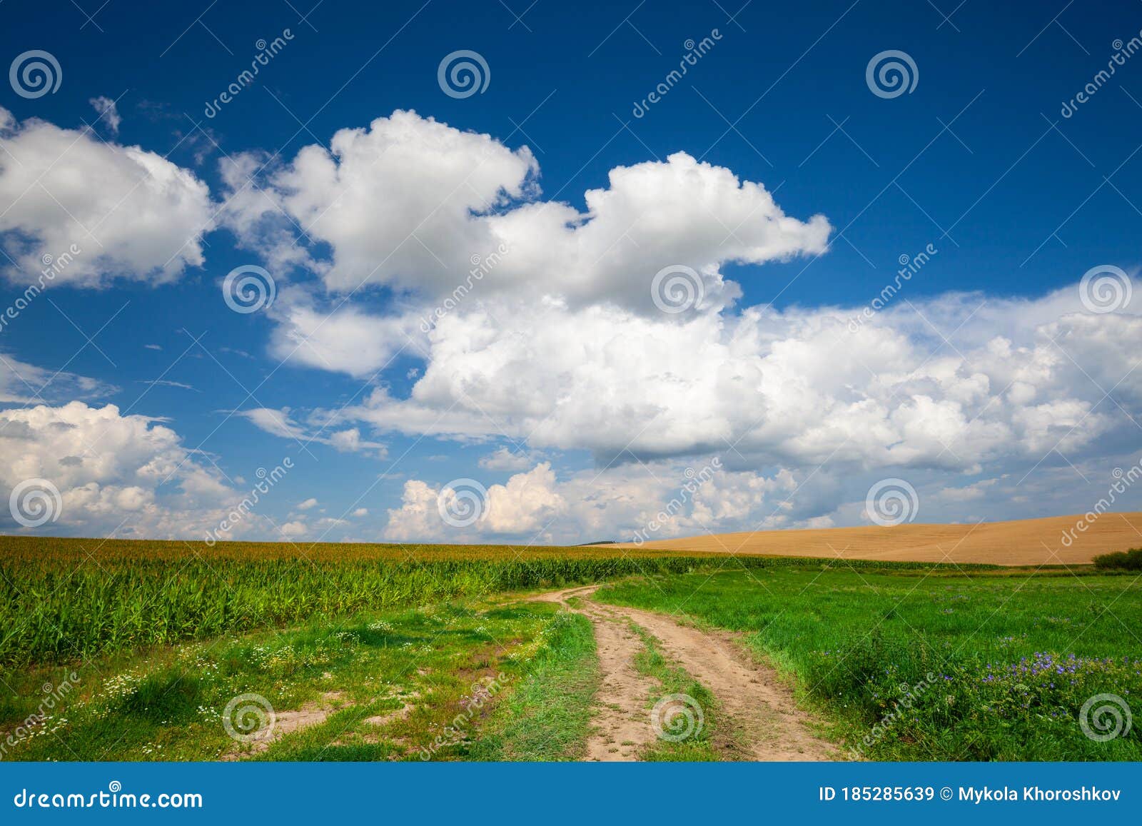 Long and Winding Rural Path Crosses the Hills Stock Image - Image of ...