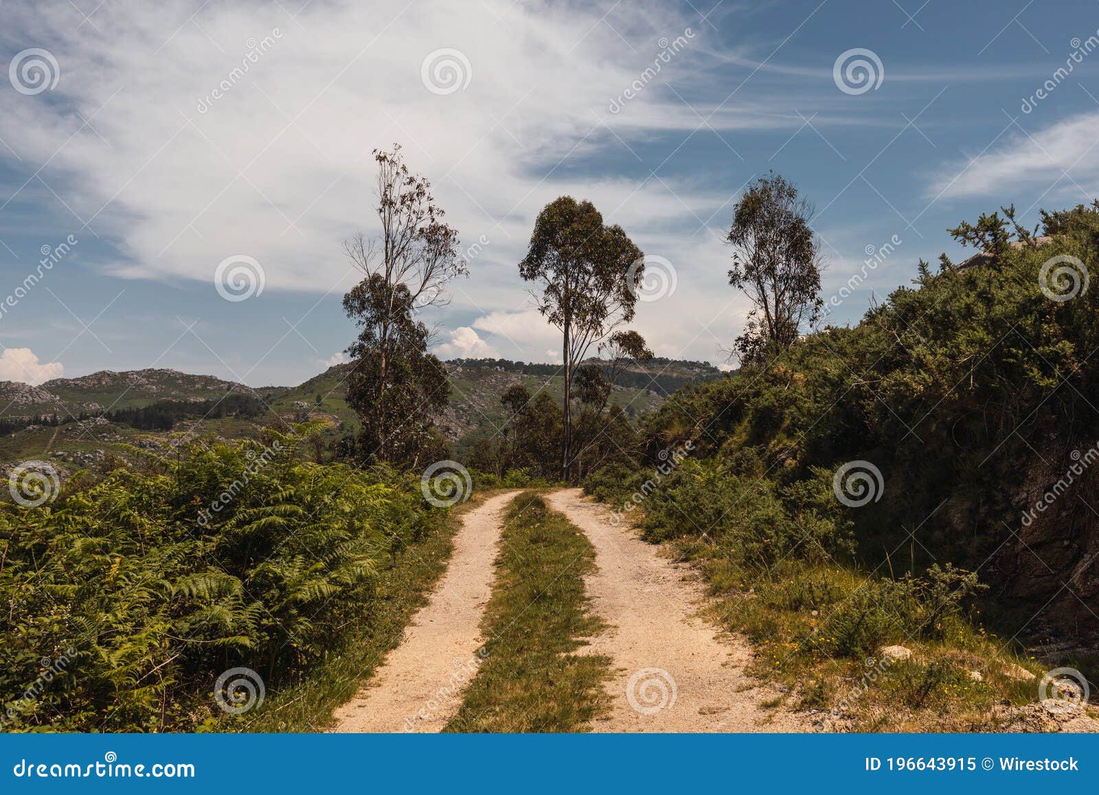 Long and Winding Rural Path Crosses the Hills at the Sunset Stock Image ...