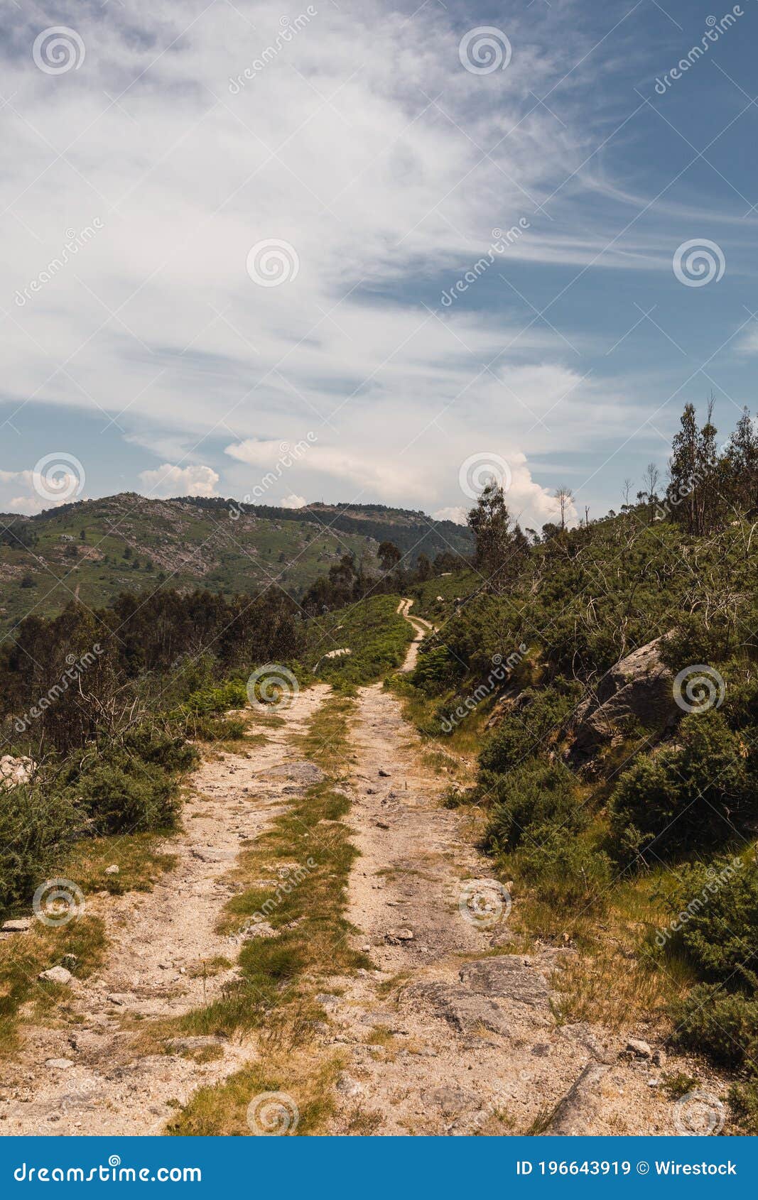 Long and Winding Rural Path Crosses the Hills at the Sunset Stock Image ...