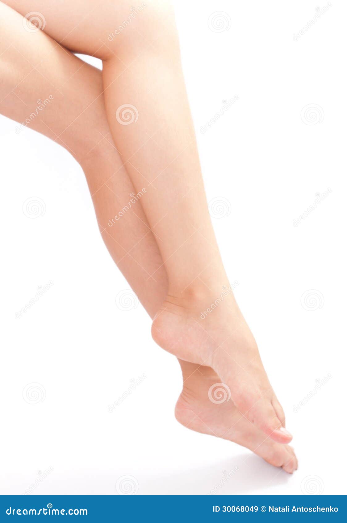 Woman legs on white stock image. Image of freshness, gerbera - 30068049