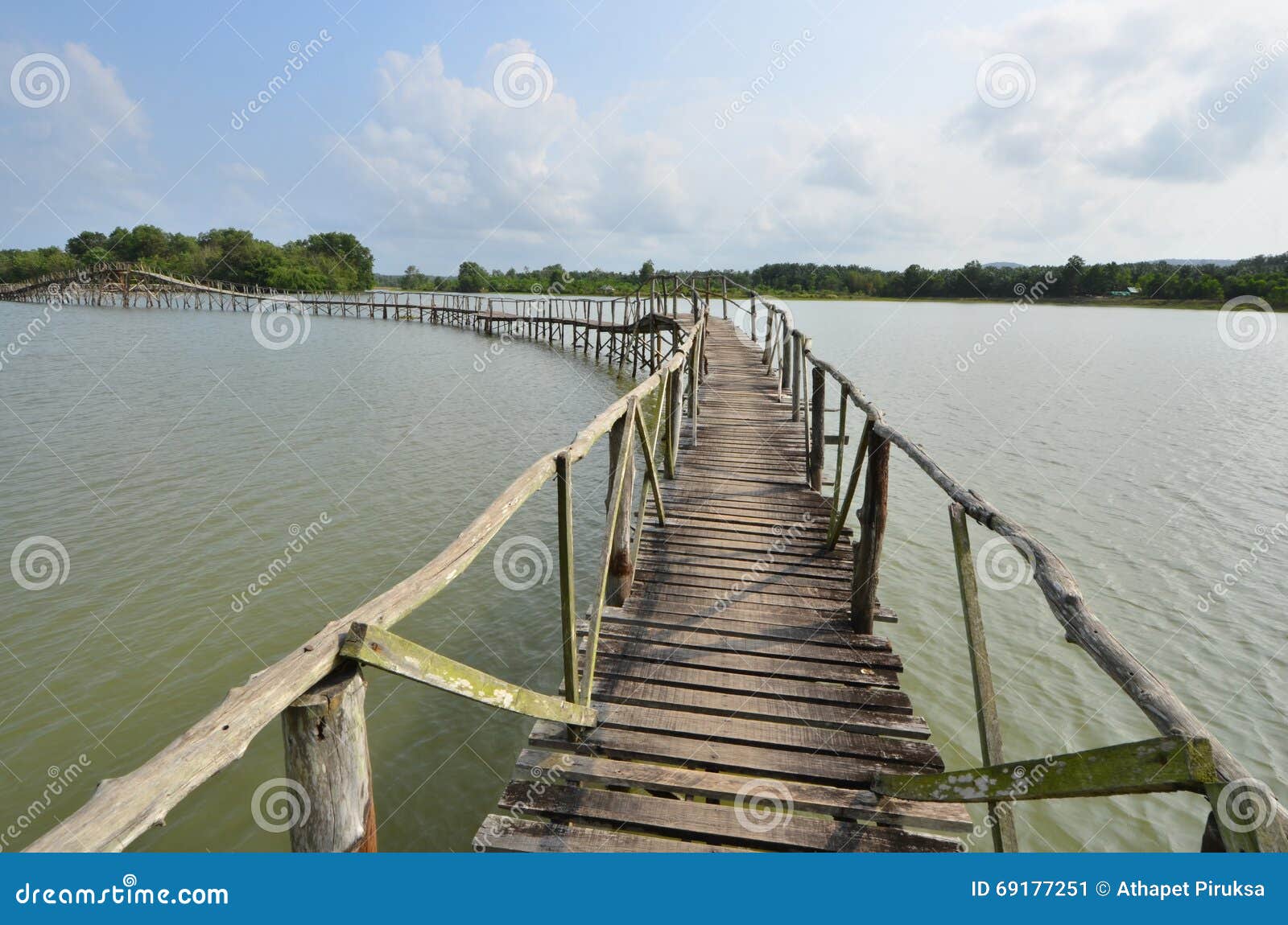 The Long Wood Bridge Across the Swamp Stock Image - Image of fresh ...