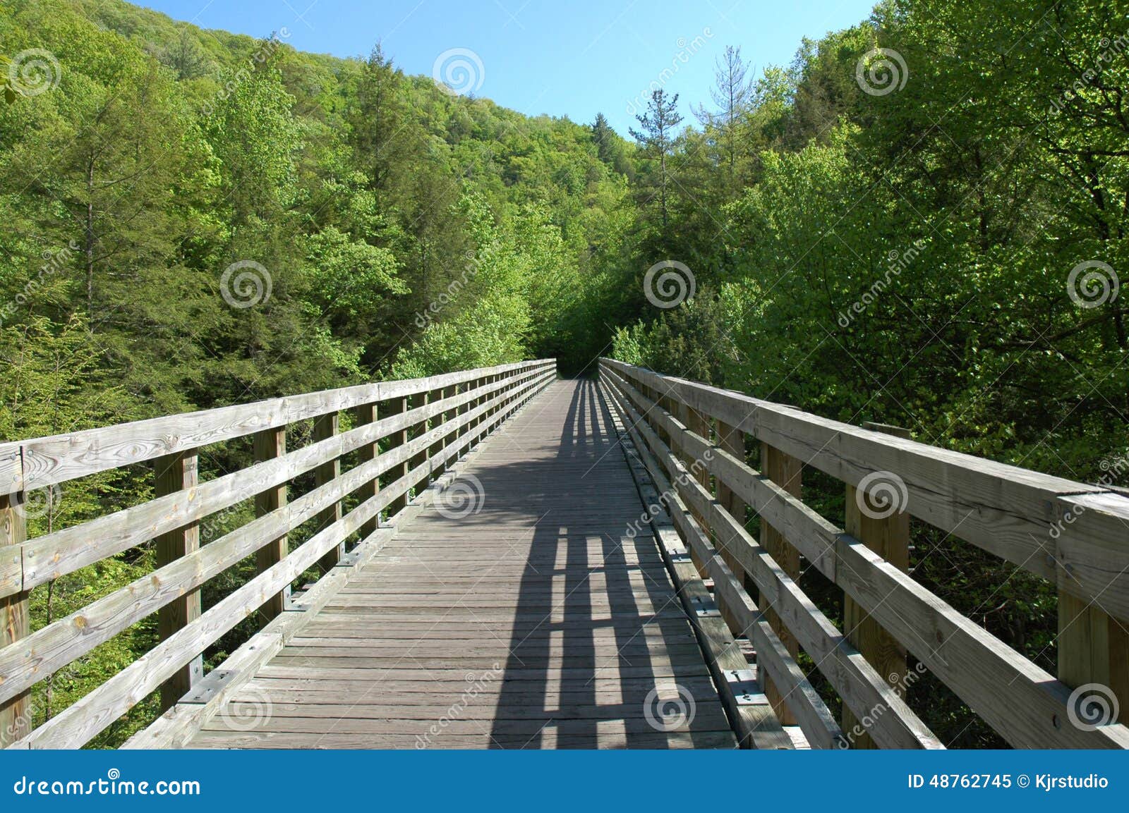 The long wooded bridge. stock image. Image of ntime, long - 48762745