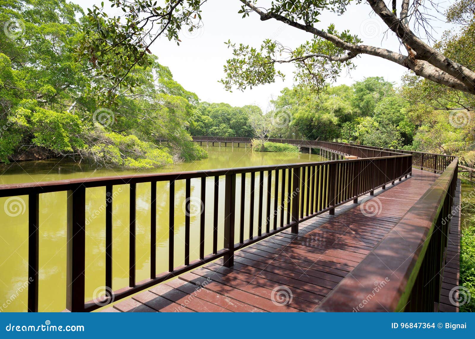 Long Wooden Bridge Cross Over Lake Stock Photo - Image of green, lake ...