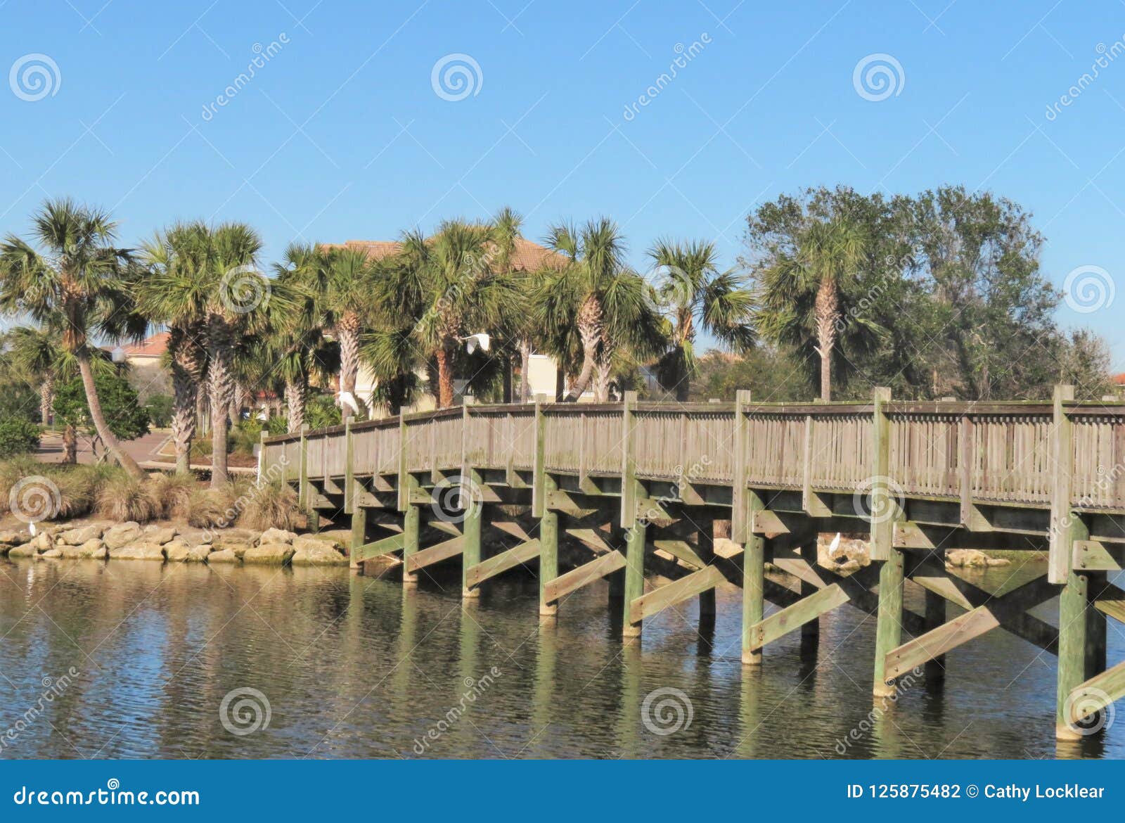 Bridge Made of Wooden Over a Lake; Stock Photo - Image of bridge, blue ...