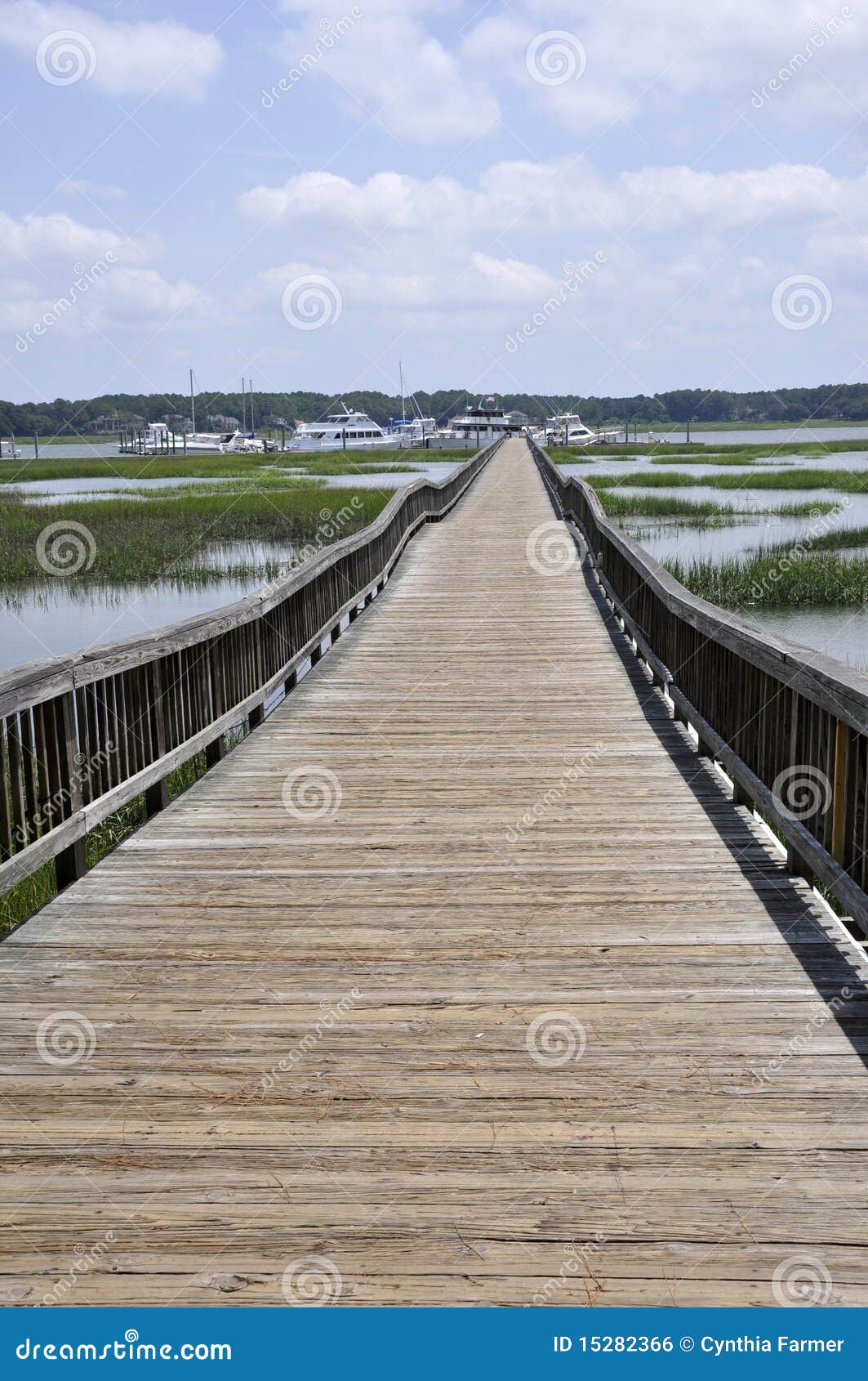 Long wooden dock stock photo. Image of recreation, leisure - 15282366