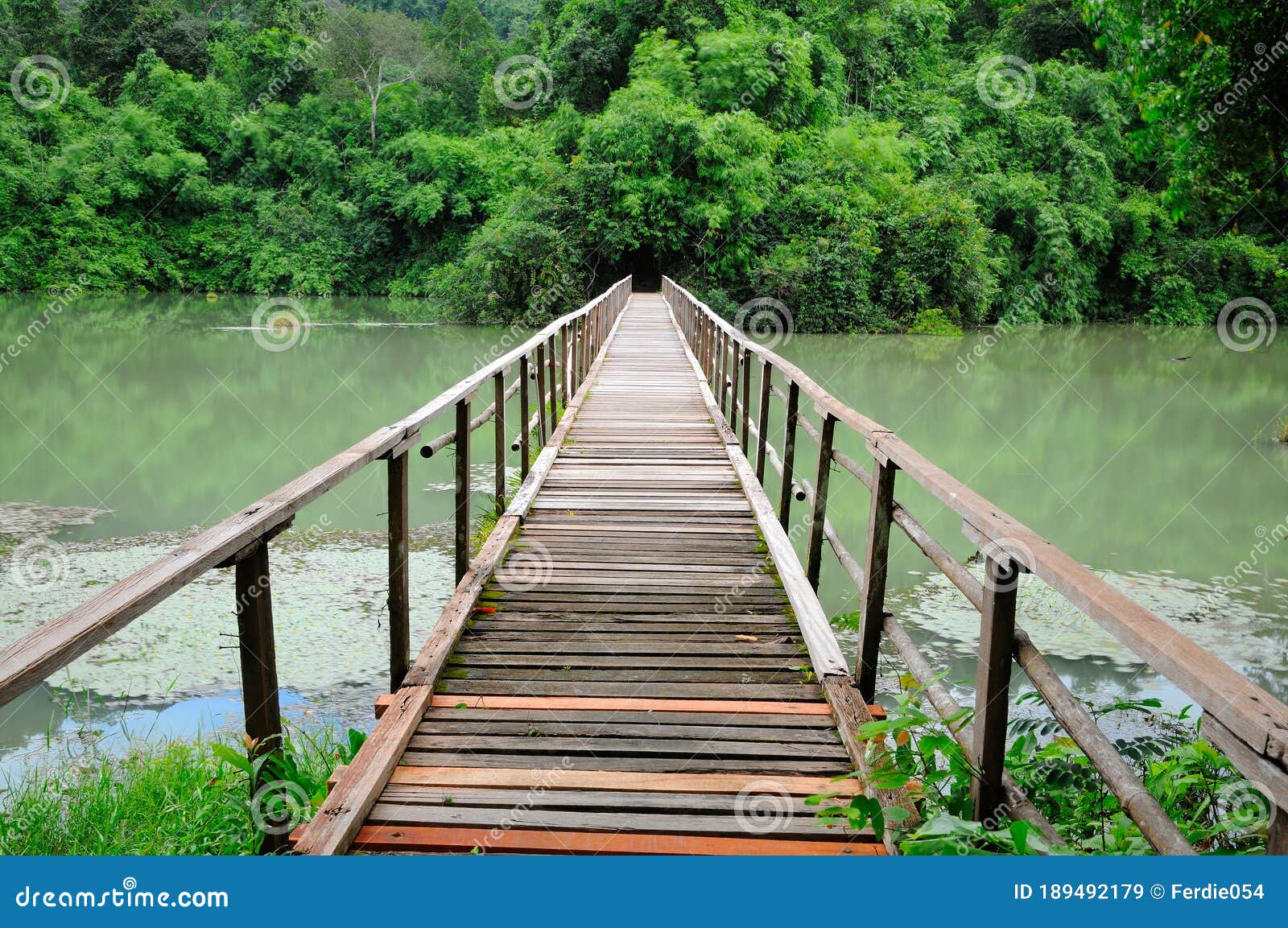 A Long Wooden Foot Bridge in a Park Stock Image - Image of leaves, lake ...
