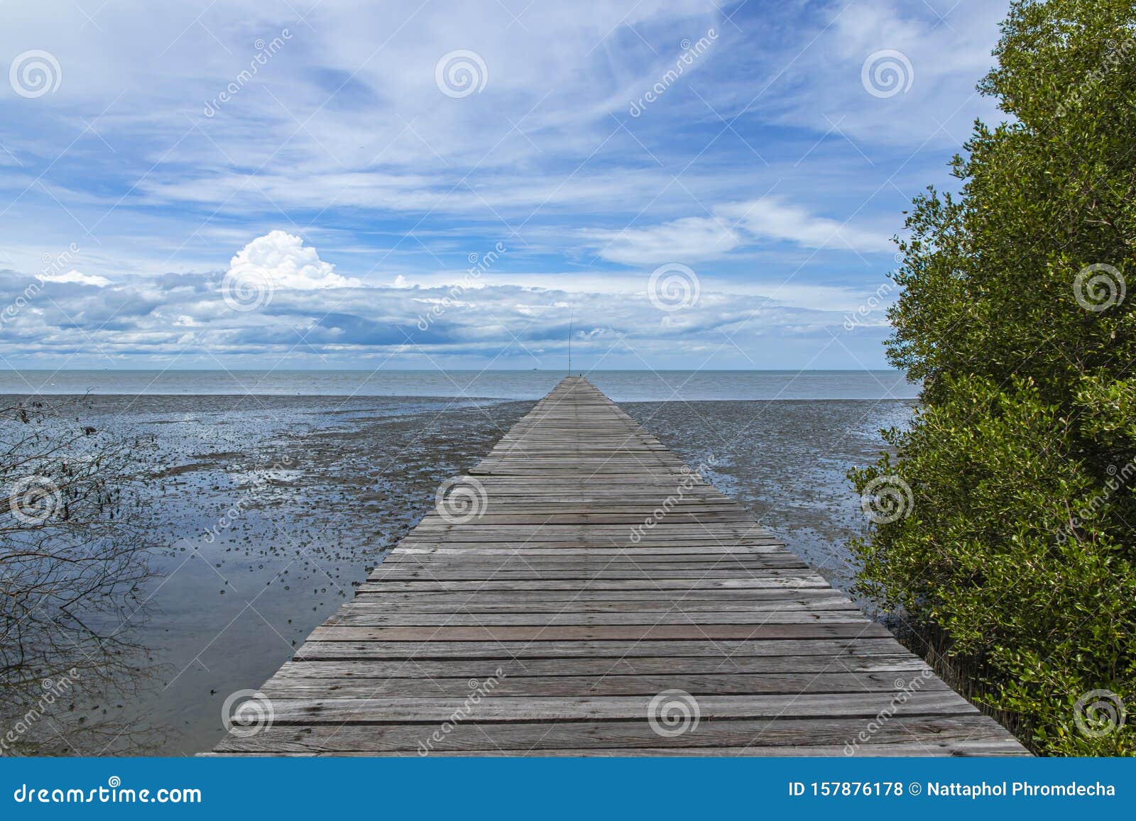 A Long Wooden Pathway End of the Beach from Mangrove Forest Background ...