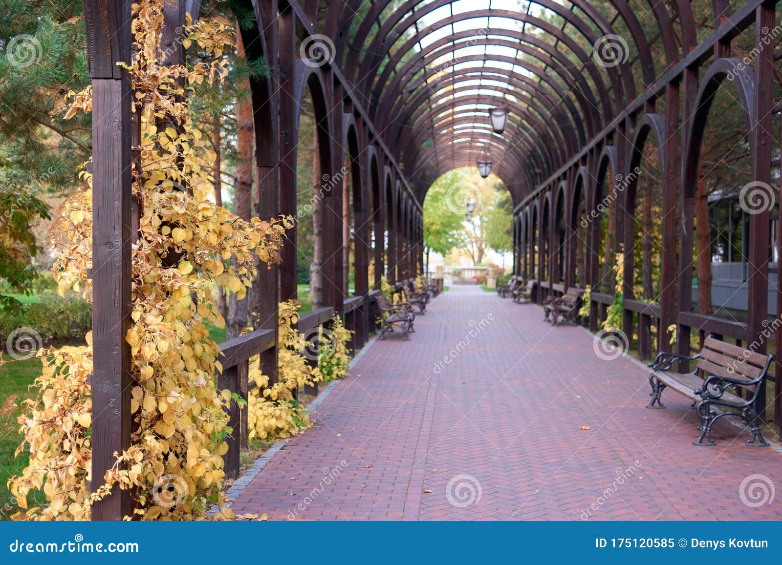 Pathway Perspective Inside The Hay Bale Maze Stock Image ...