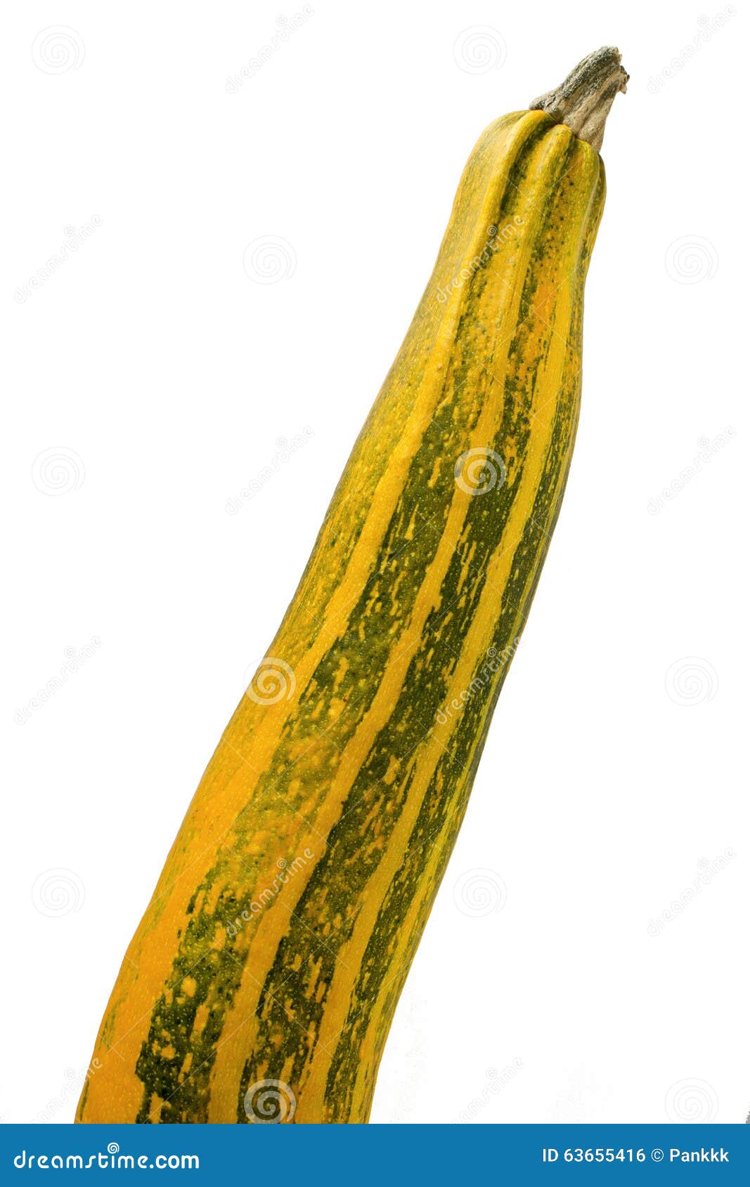 Long zucchini stock photo. Image of long, grow, green - 63655416