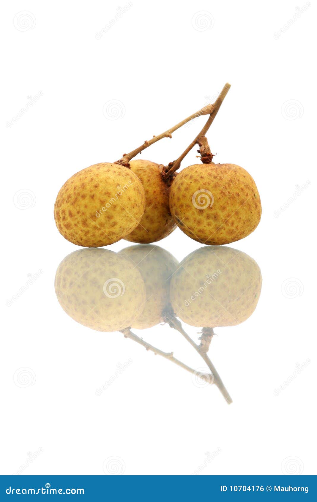 Longan stock photo. Image of fresh, brown, market, freshness - 10704176