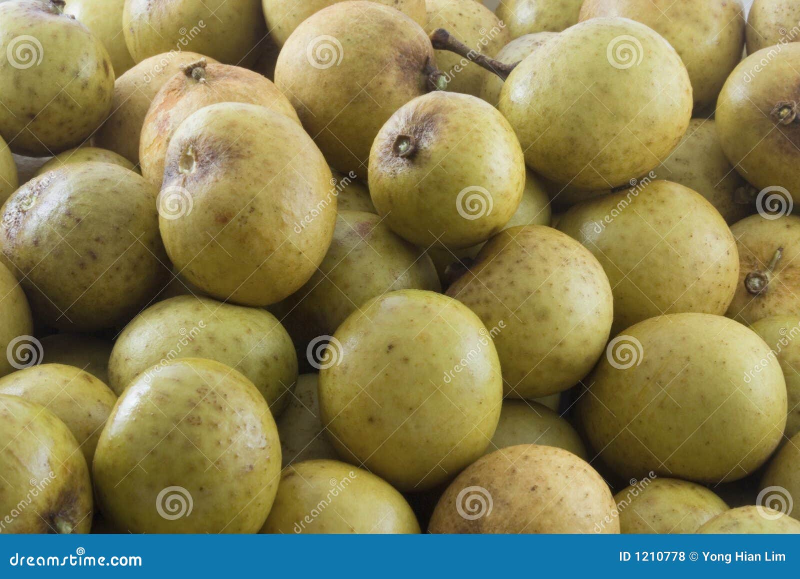 Longan stock photo. Image of tropical, fruit, ingredient - 1210778