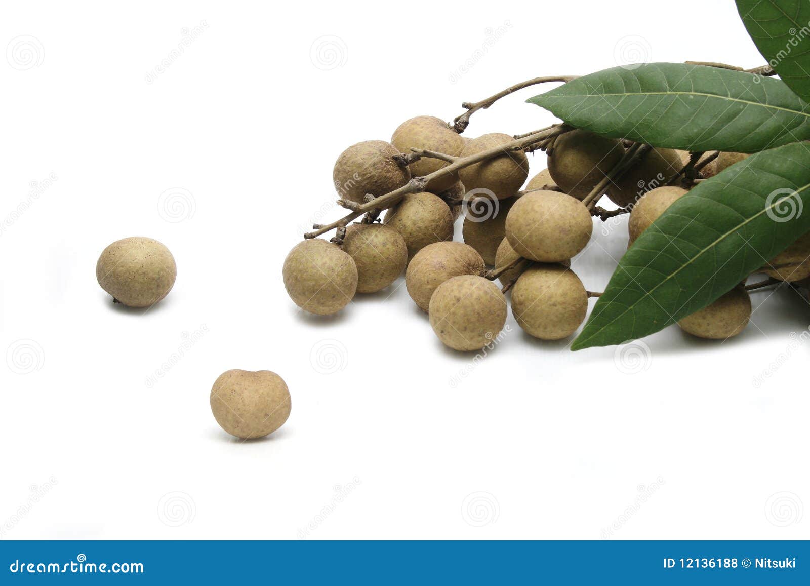 Longan stock photo. Image of brown, fruit, closeup, thailand - 12136188