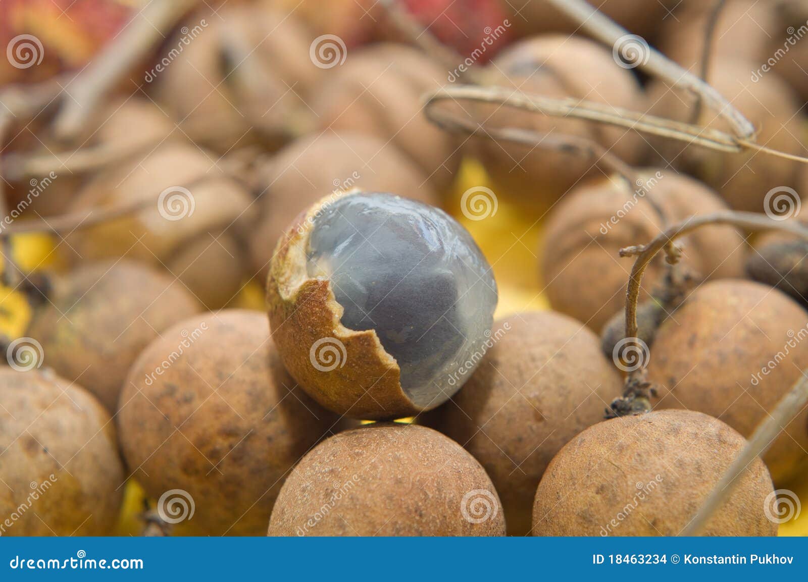 Longan foto de archivo. Imagen de maduro, fruta, pelado - 18463234