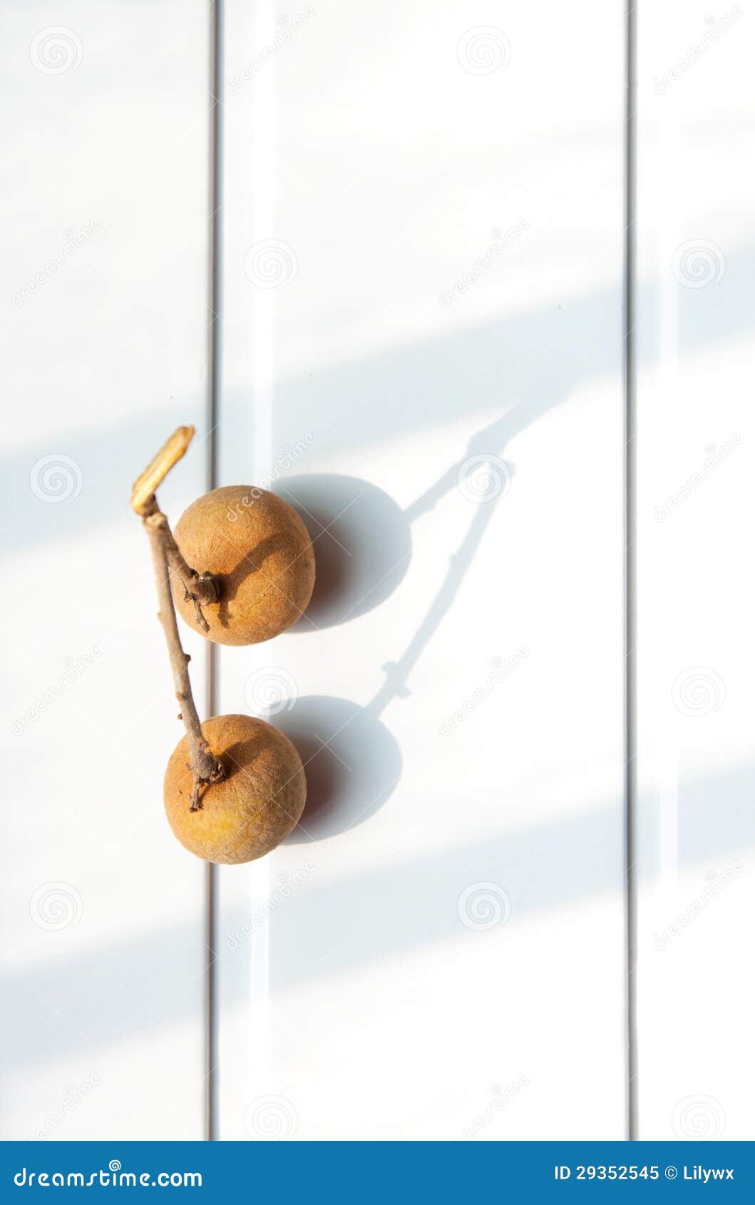 Longan stock image. Image of spring, flower, color, nature - 29352545