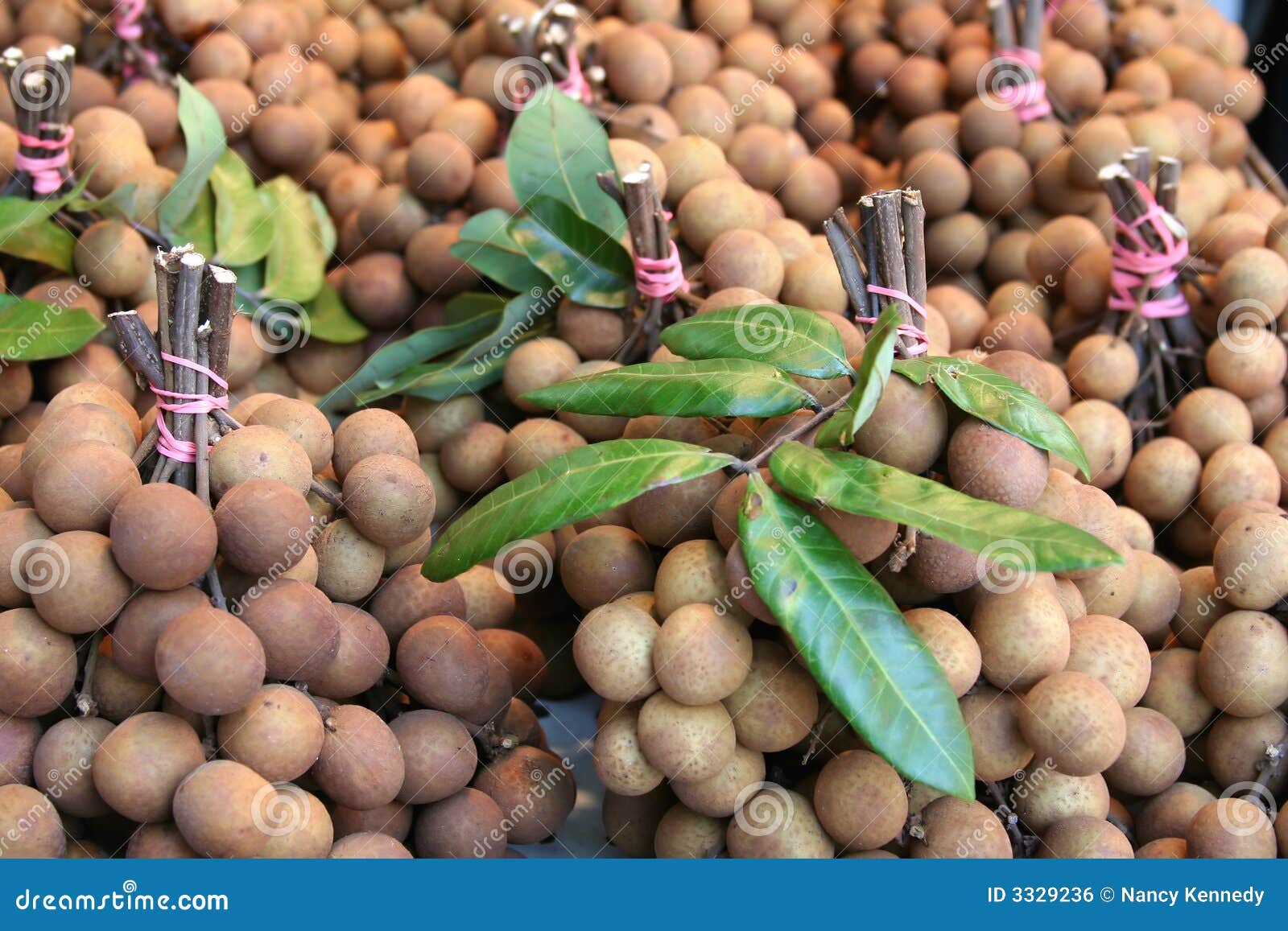 Longan stock photo. Image of snack, dessert, lychees, chinatown - 3329236