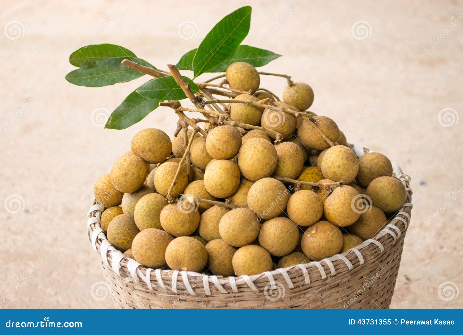 Longan stock image. Image of dimocarpus, green, close - 43731355