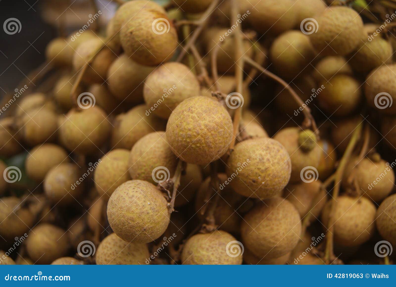 Longan stock image. Image of features, sale, food, longan - 42819063