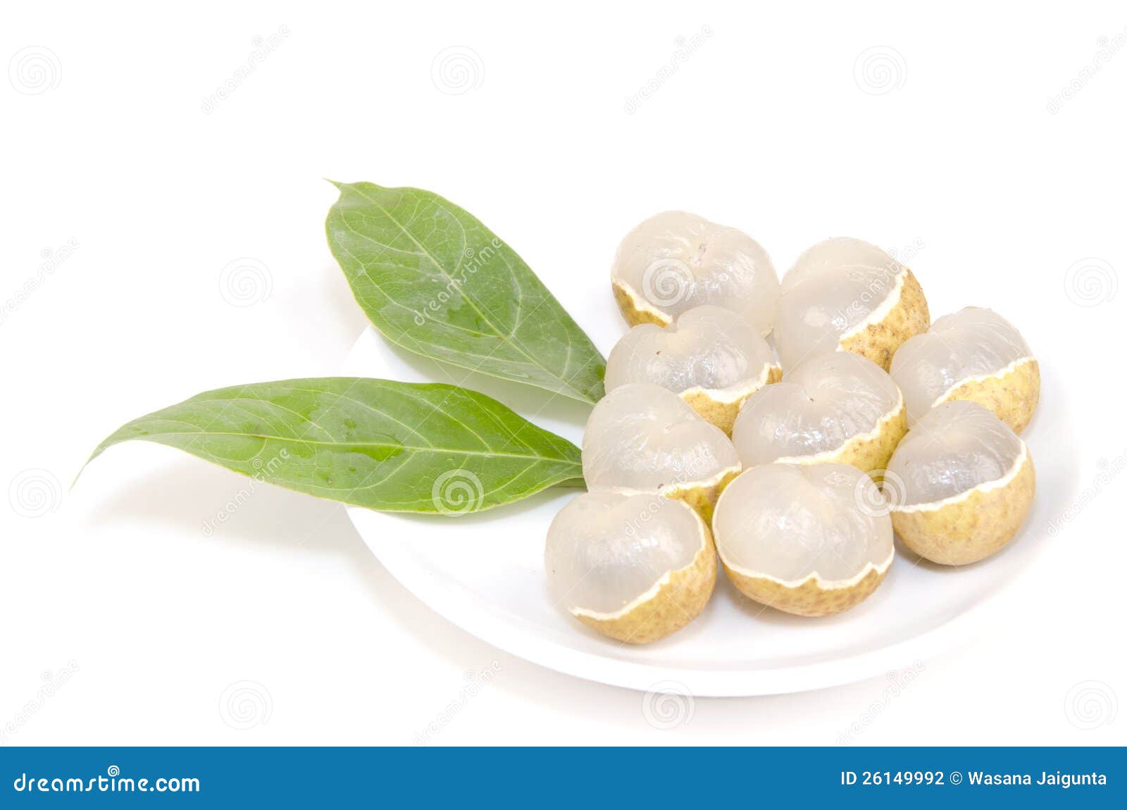 Longan(Dimocarpus longan) stock photo. Image of tropical - 26149992