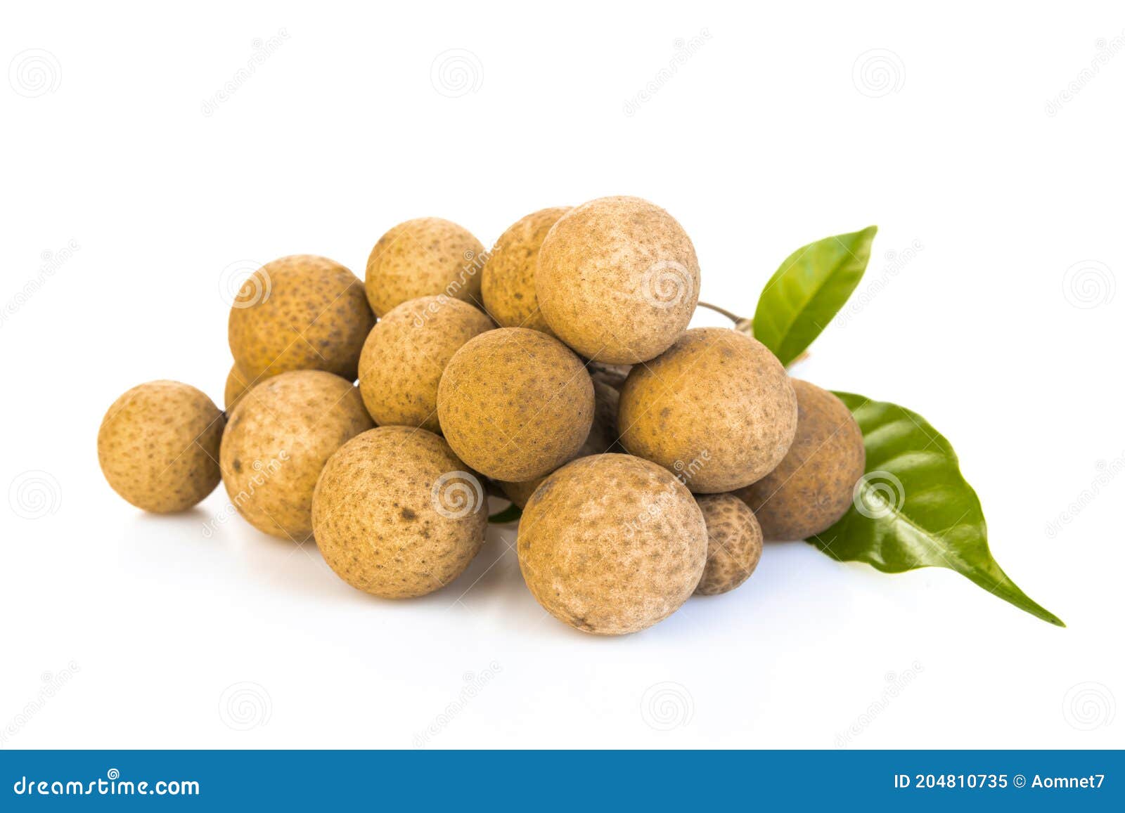 Longan. Dimocarpus Longan. Branch Longan Fruit Whole Fruits And In A ...