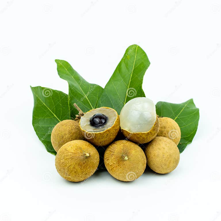 Fresh Longan Isolated on White Background Stock Image - Image of ...