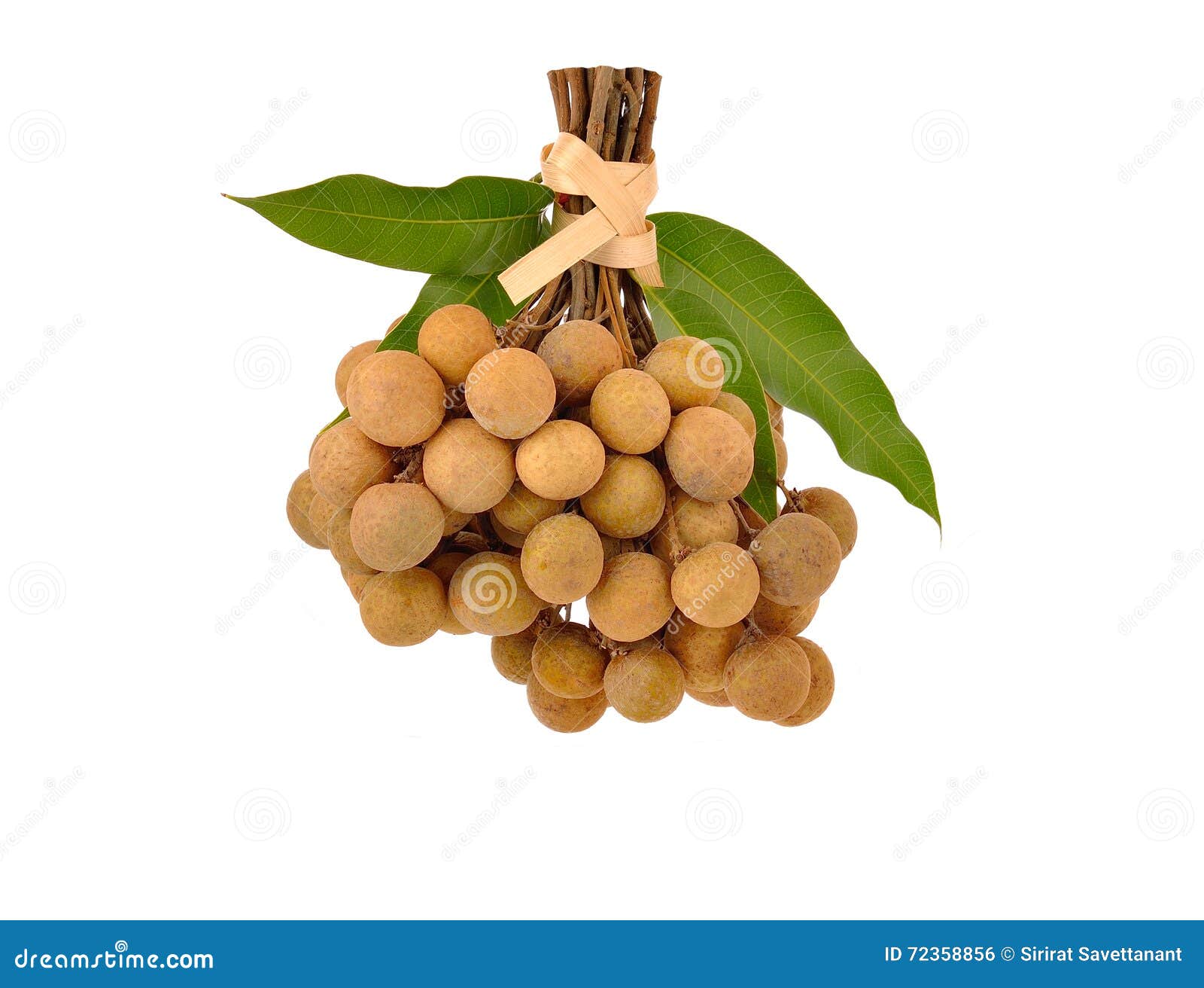 Longan. Fresh Longan on the Background Stock Photo - Image of macro ...