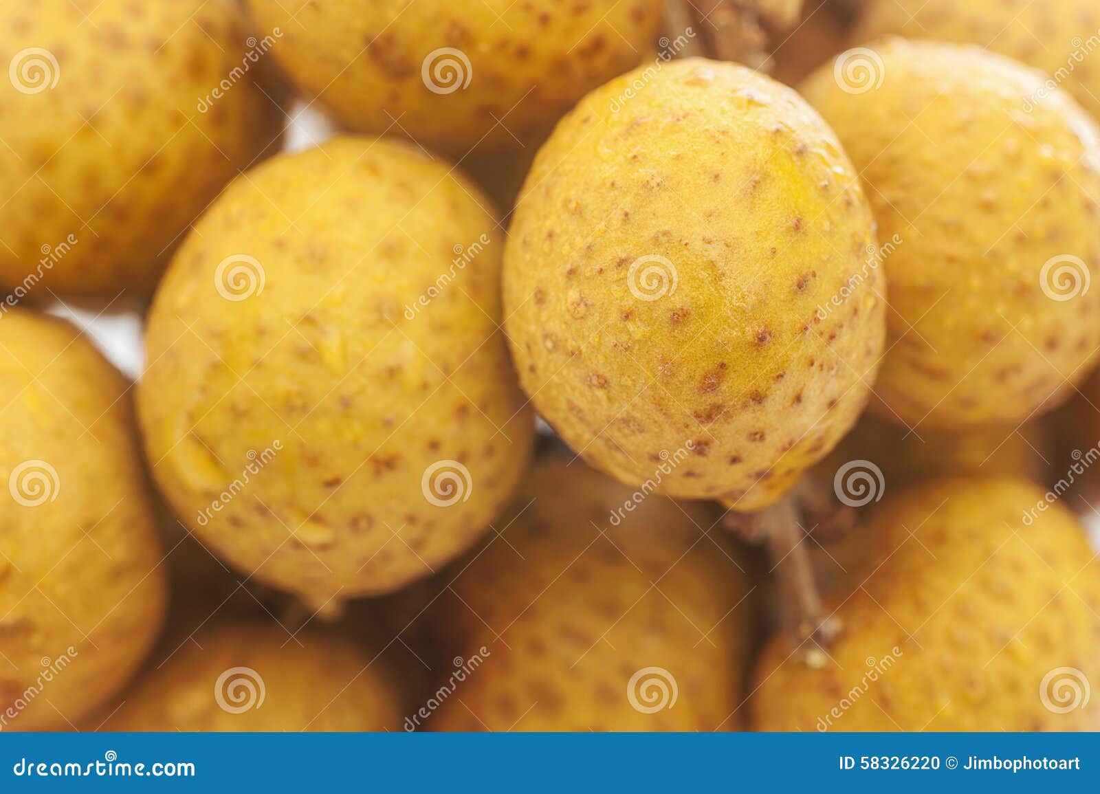 Longan. Fresh Longan Isolated Stock Photo - Image of cluster, plant ...