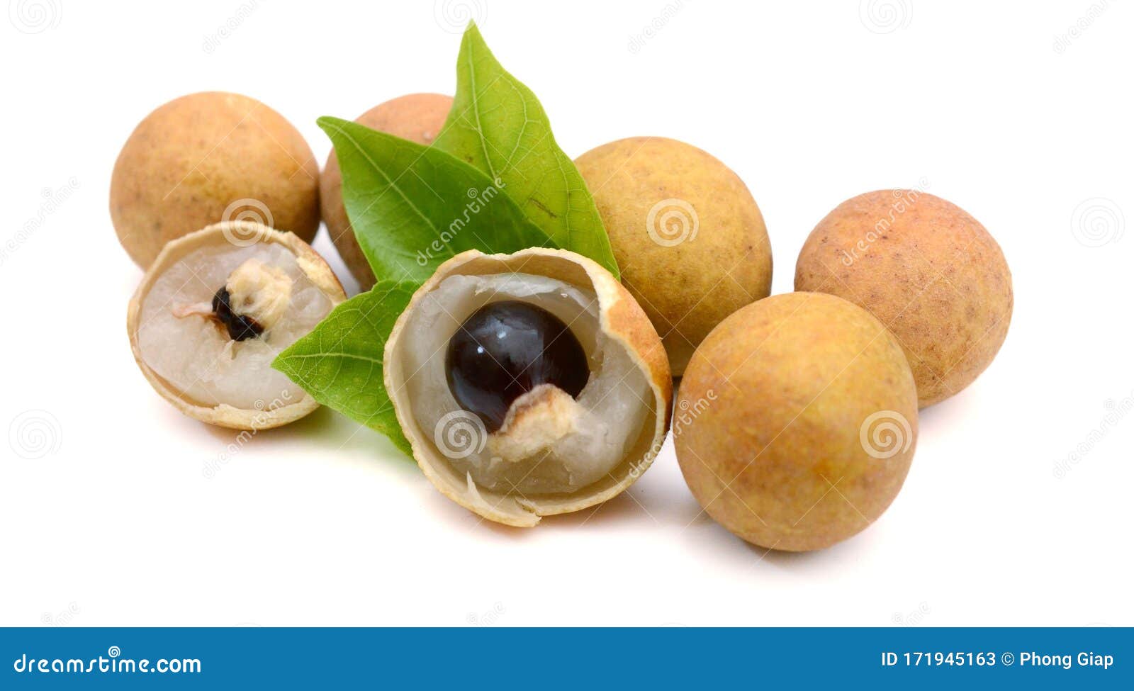 Longan. stock image. Image of isolated, sugary, food - 171945163