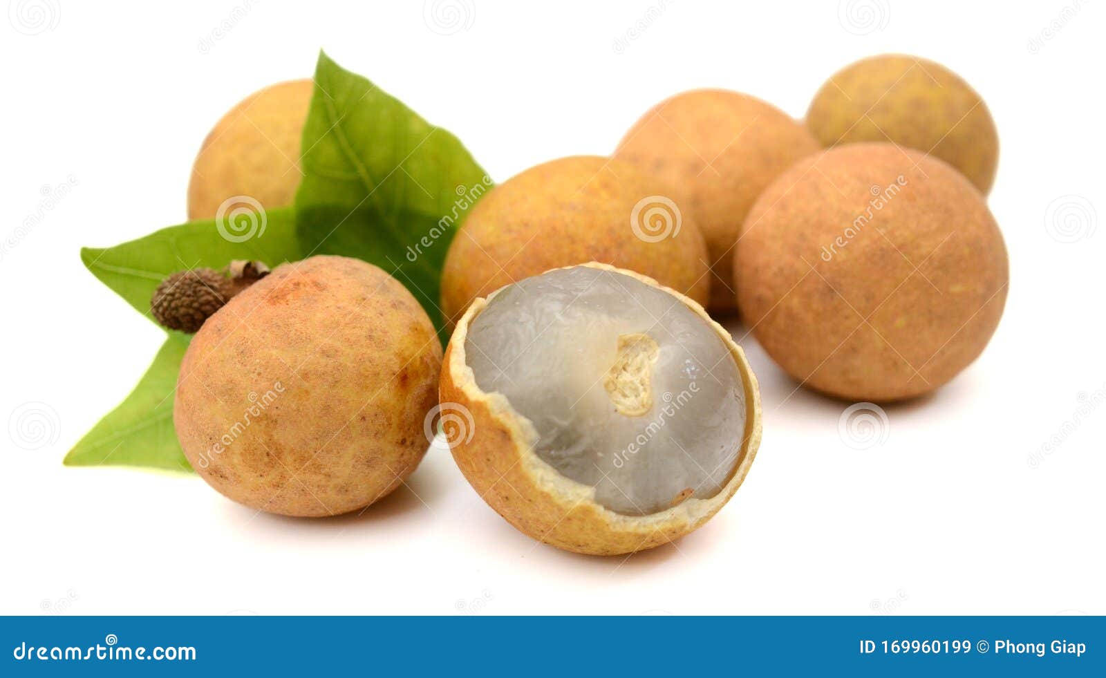Longan. stock image. Image of isolated, flesh, fresh - 169960199