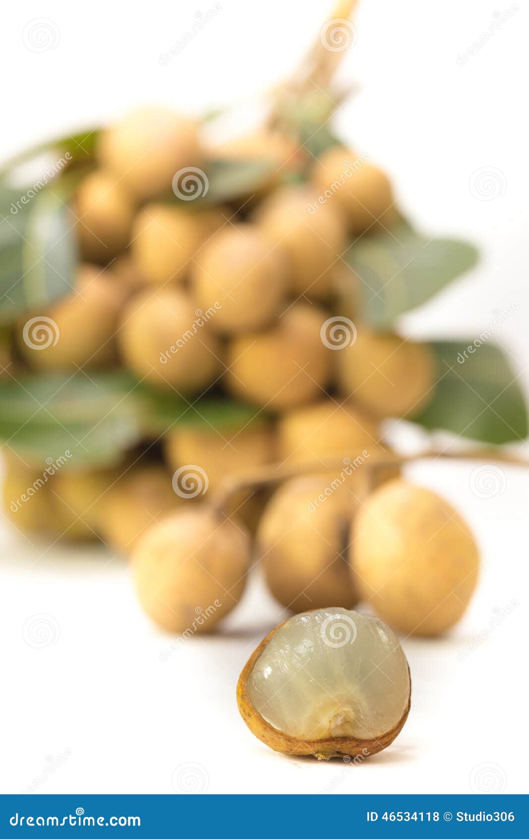 Longan stock photo. Image of sugary, longans, healthy - 46534118