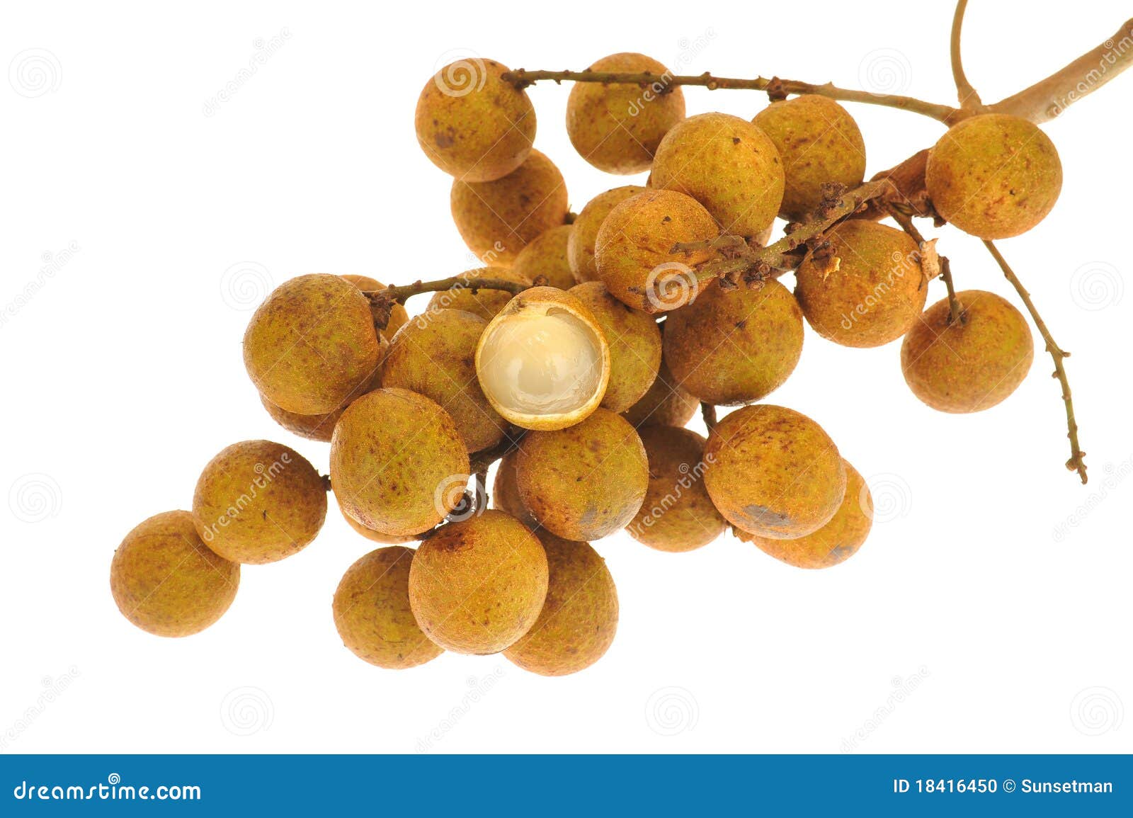 Longan Fruit stock photo. Image of chinese, food, shell - 18416450