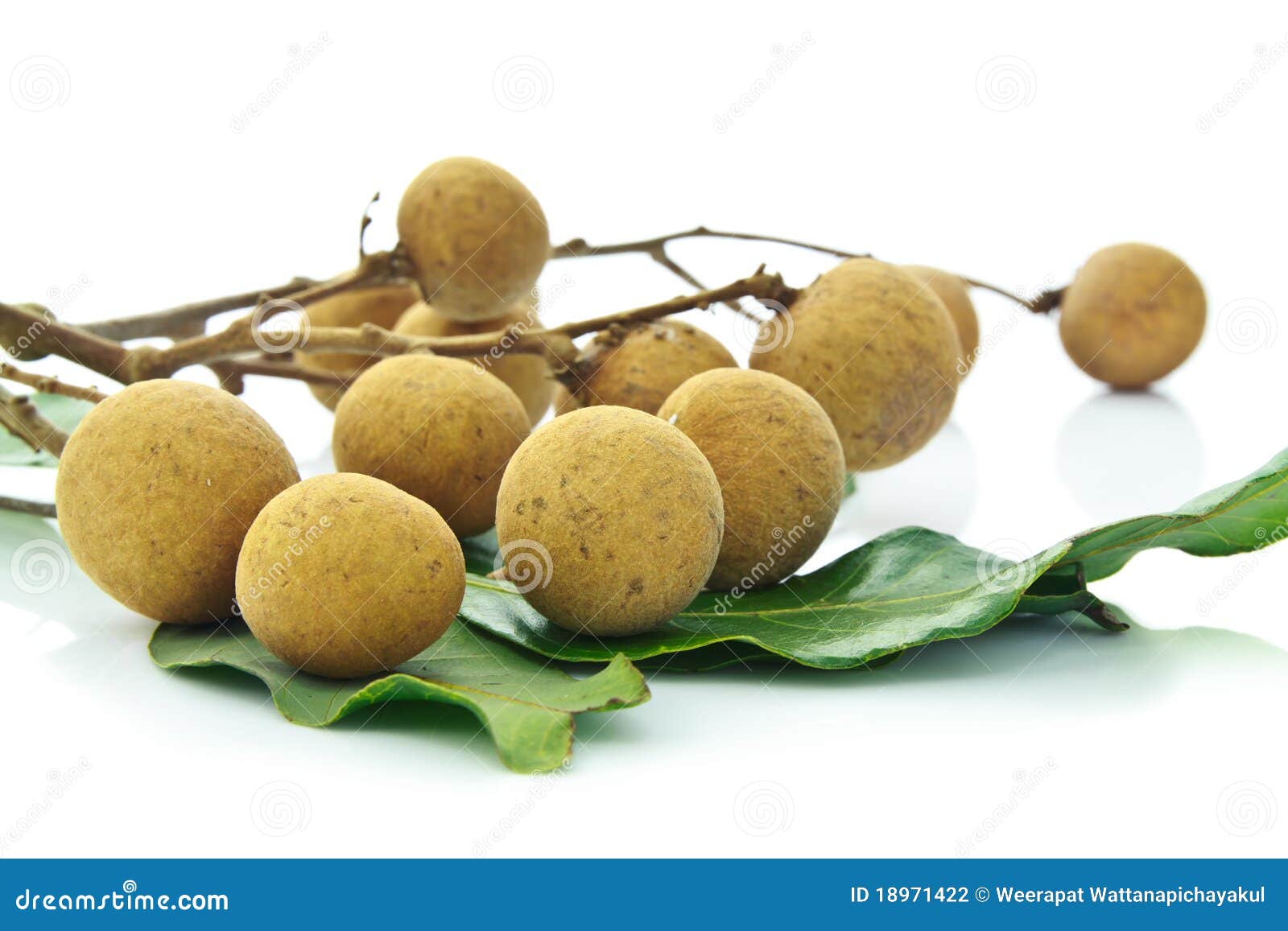 Longan Fruit . Stock Photo | CartoonDealer.com #43539930