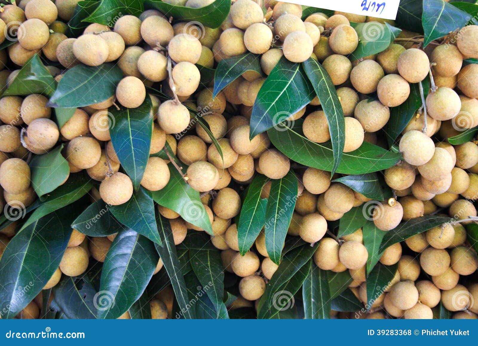 Longan stock photo. Image of lovely, goodly, fair, pretty - 39283368