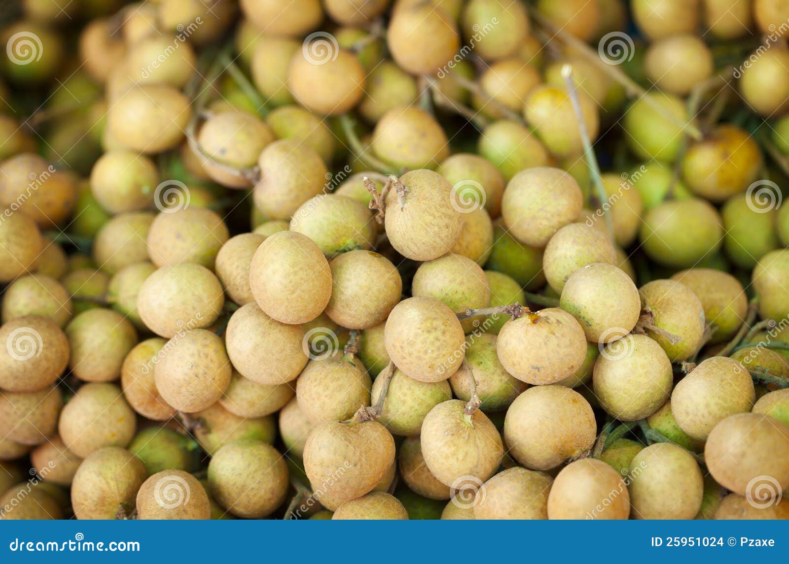 Longan Fruit . Stock Photo | CartoonDealer.com #43539930