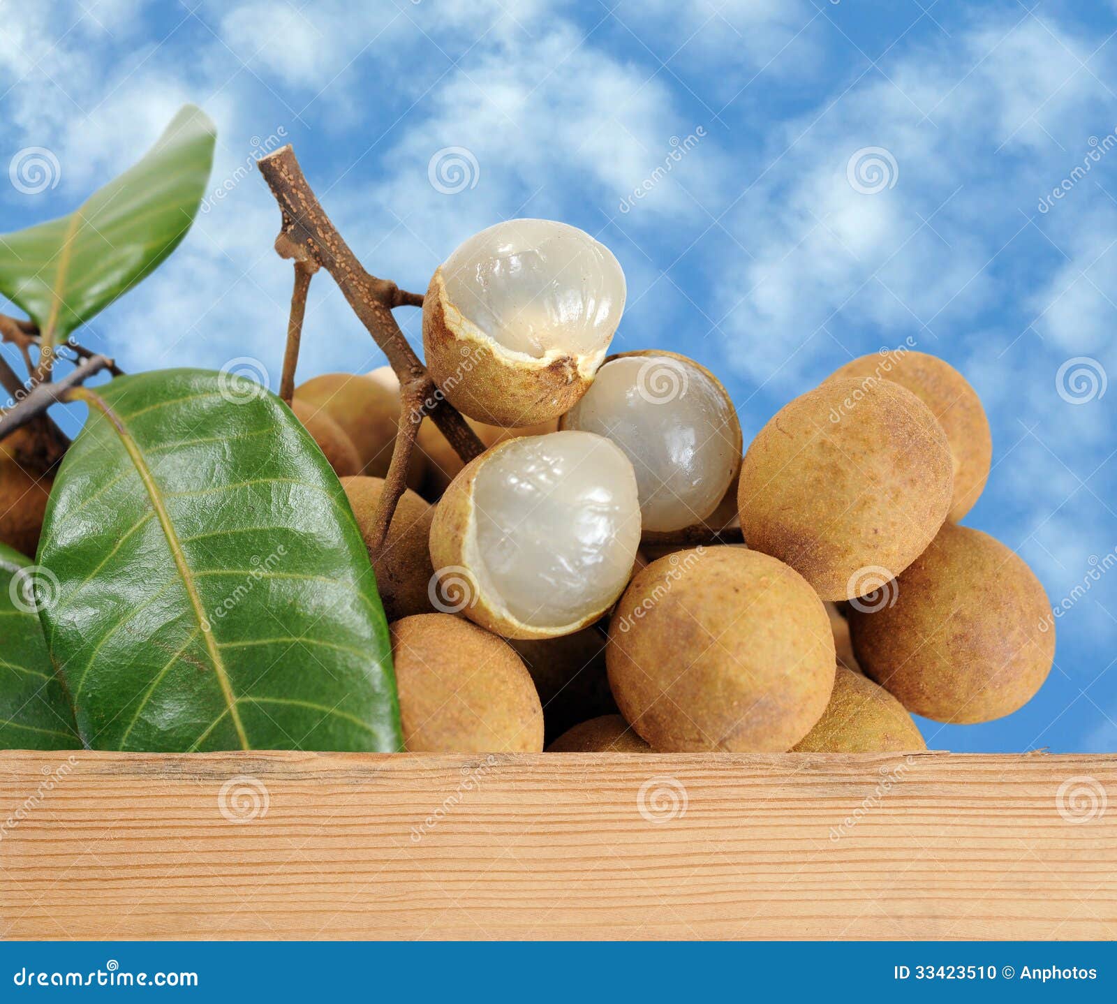 Longan fruit stock photo. Image of healthy, delicious - 33423510