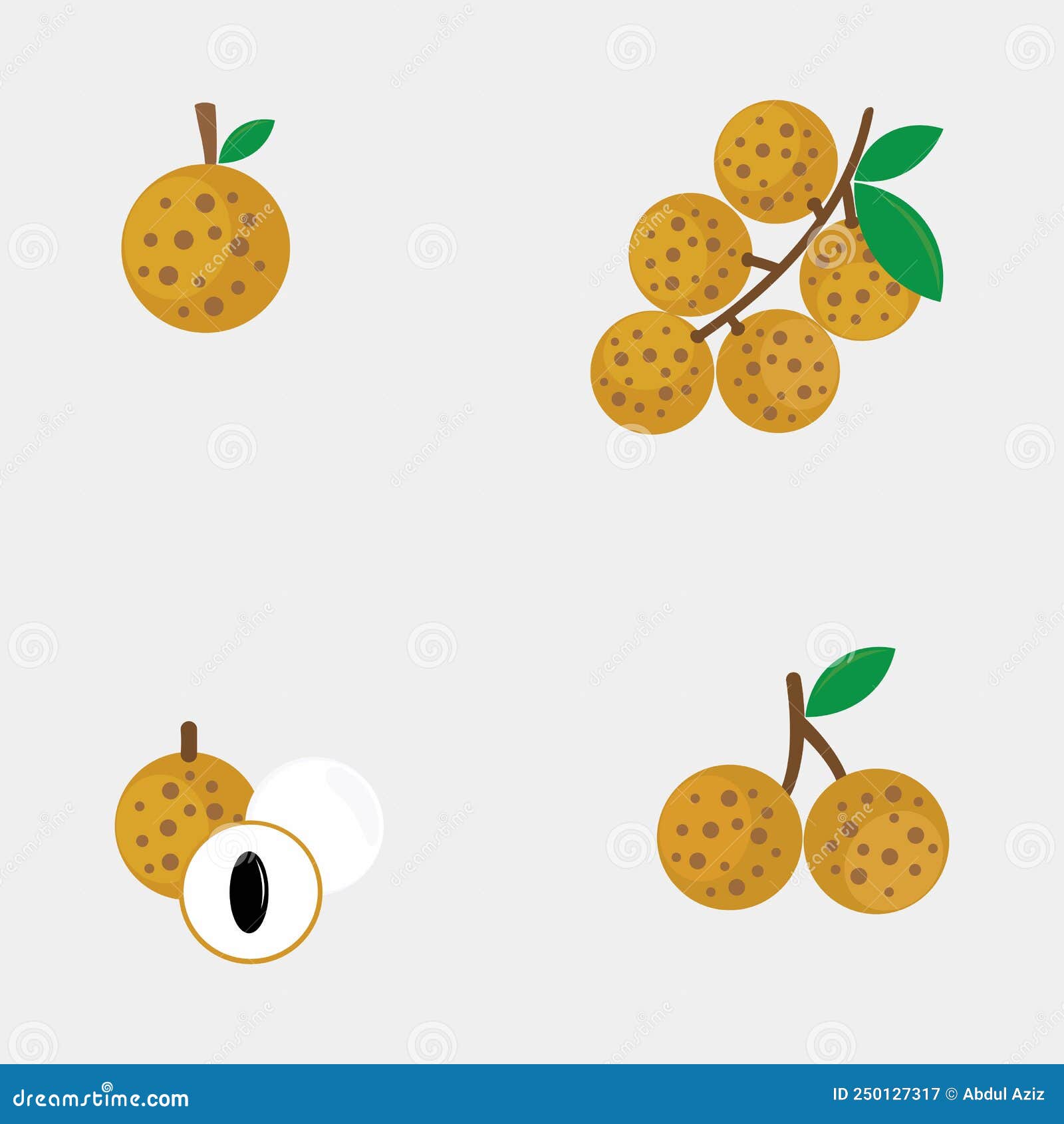 Longan Fruit Icon Template Vector Stock Vector - Illustration of fruits ...