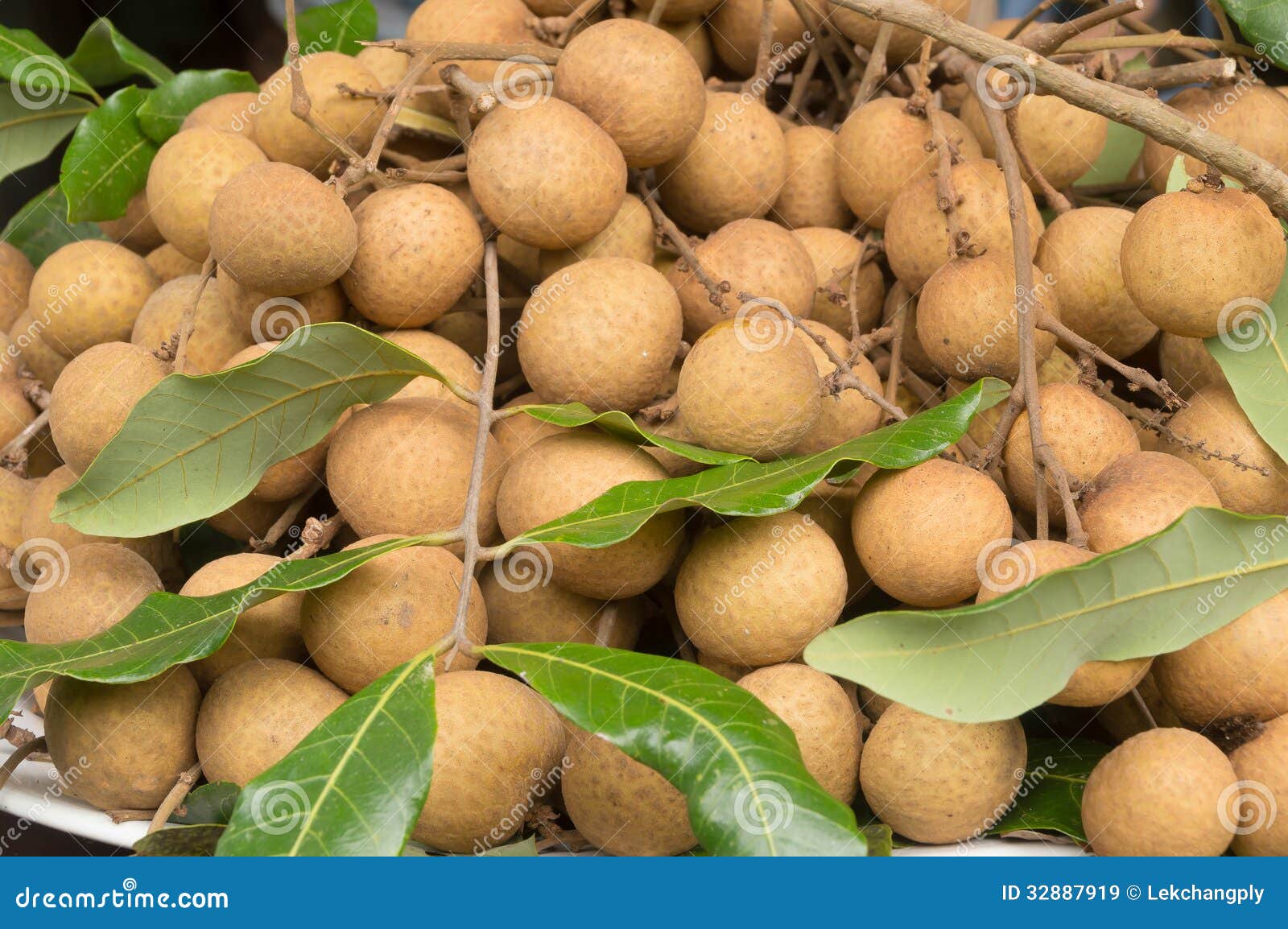 Longan fruit stock image. Image of medicine, asia, sweet - 32887919