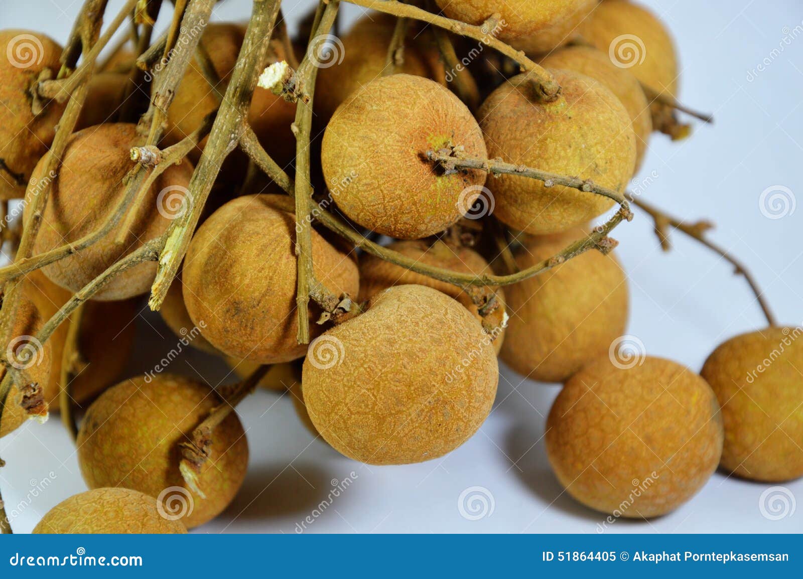 Longan fruit Thai fruit stock image. Image of supply - 51864405