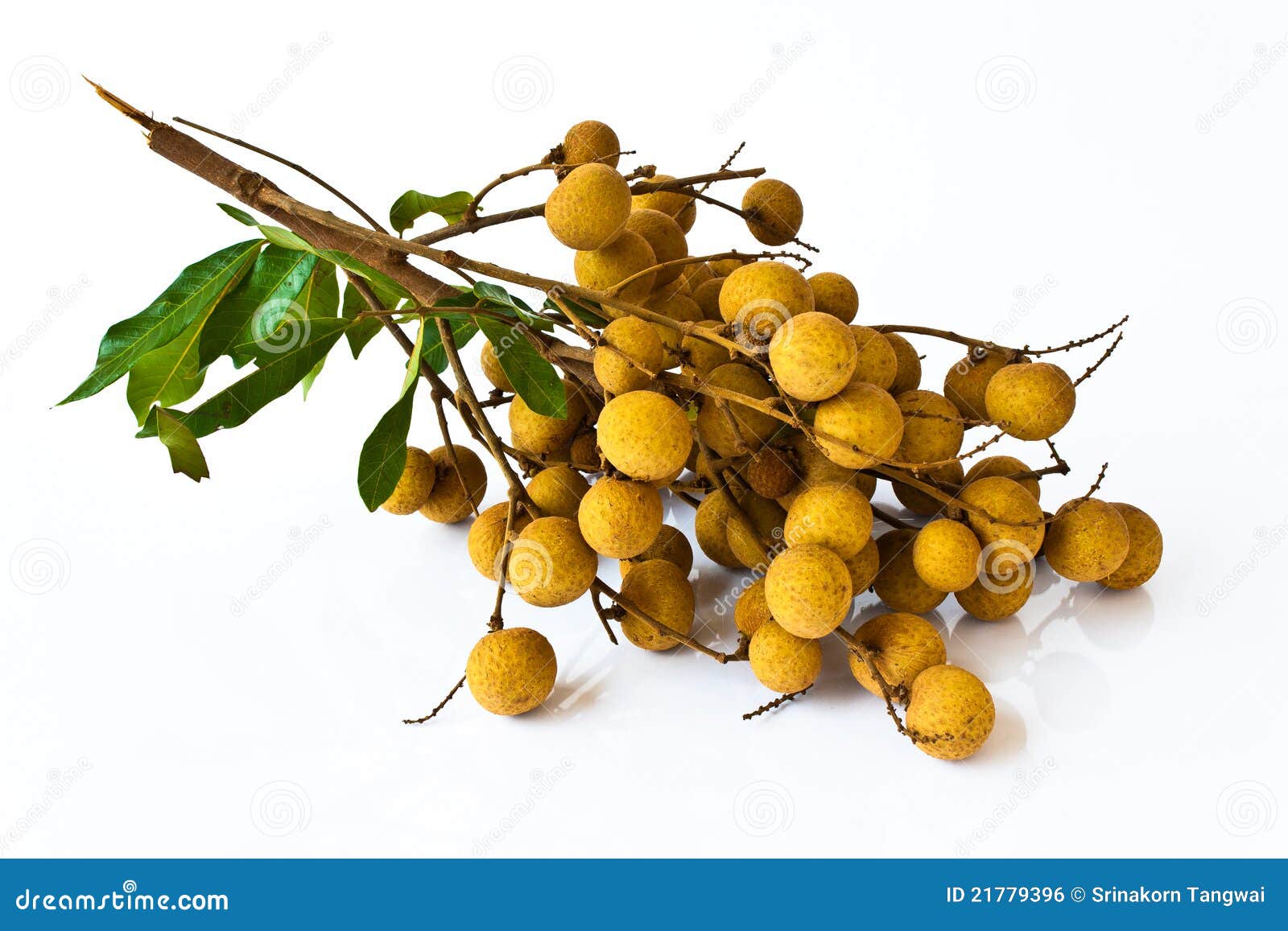 Longan Fruit on White Background Stock Photo - Image of longan ...