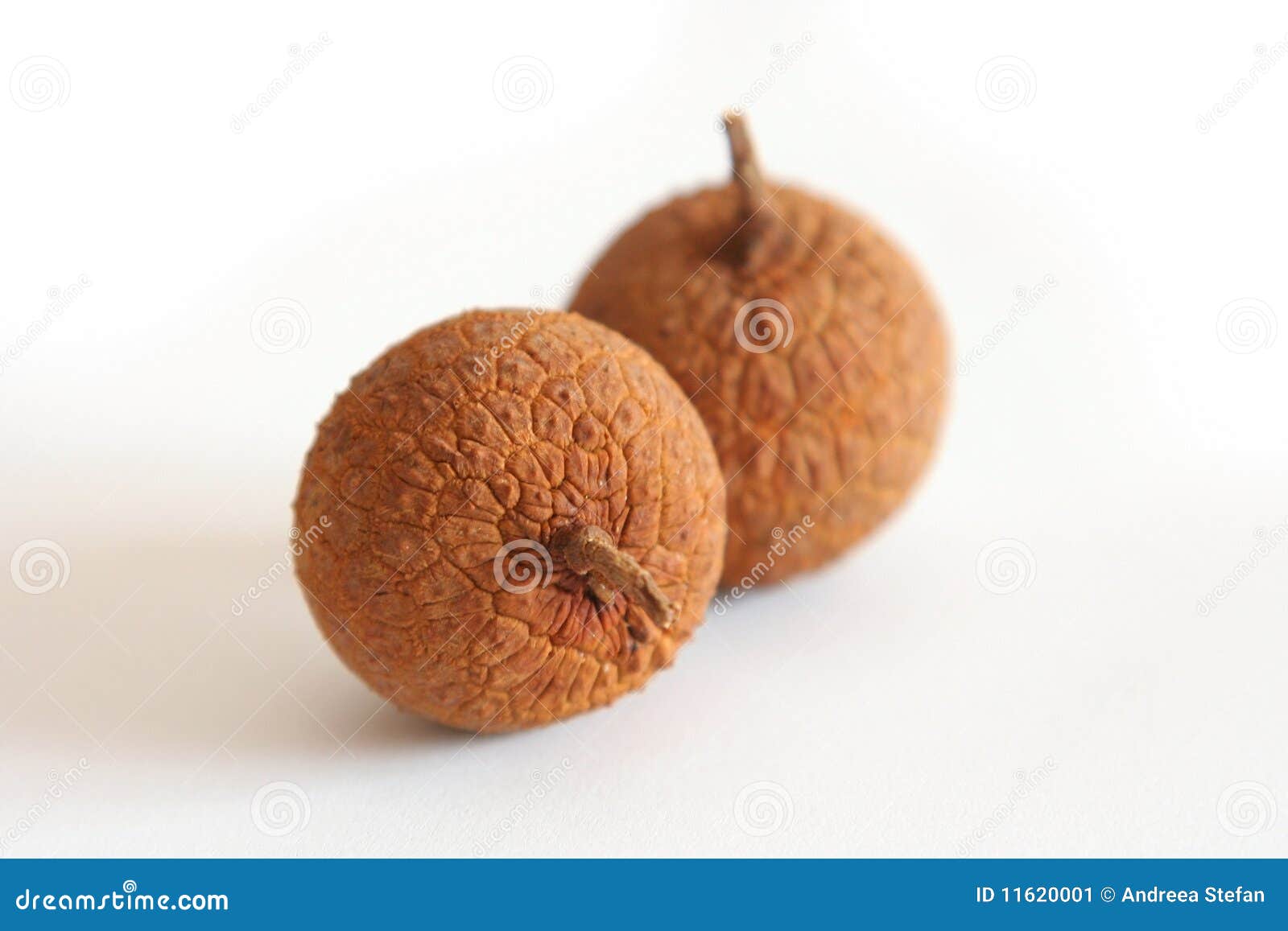 Longan fruits stock image. Image of aromatic, sweet, isolated - 11620001