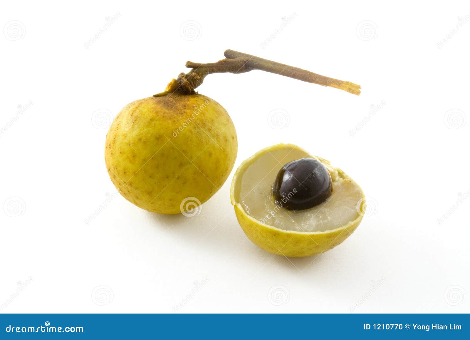 Longan isolated stock photo. Image of fresh, salad, asia - 1210770