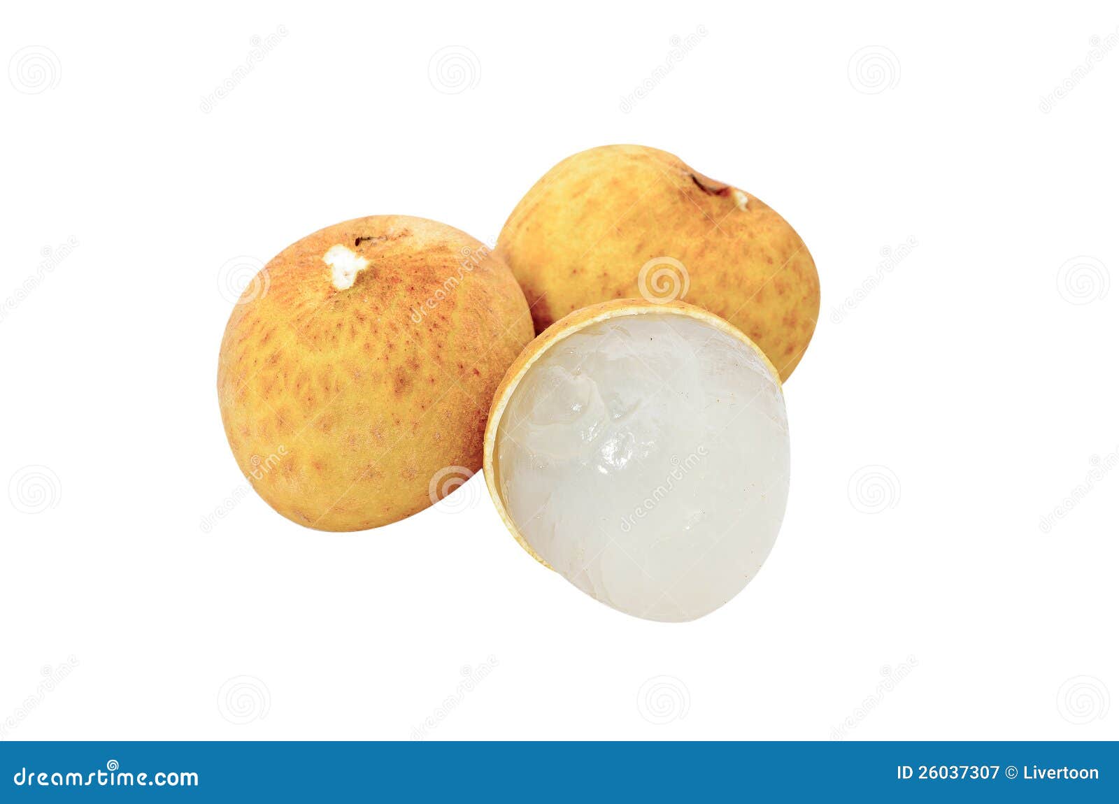 Longan isolated on a white stock image. Image of natural - 26037307