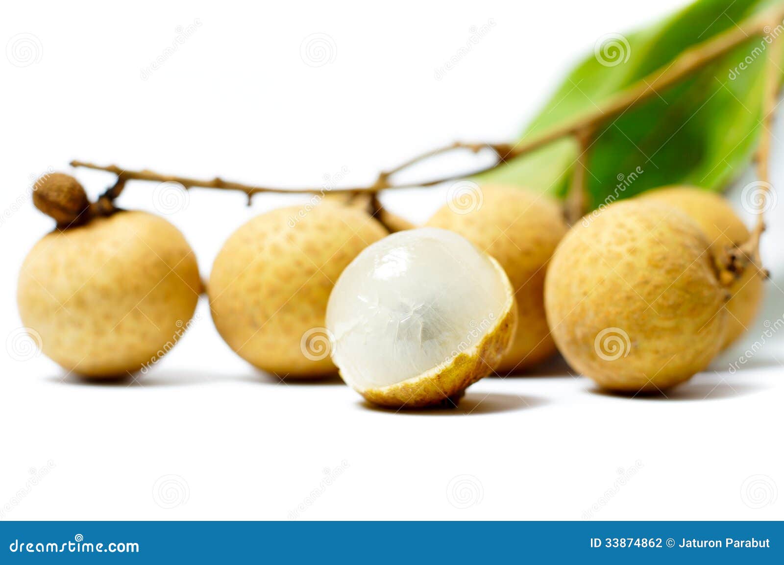 Longan isolated stock photo. Image of longan, isolated - 33874862