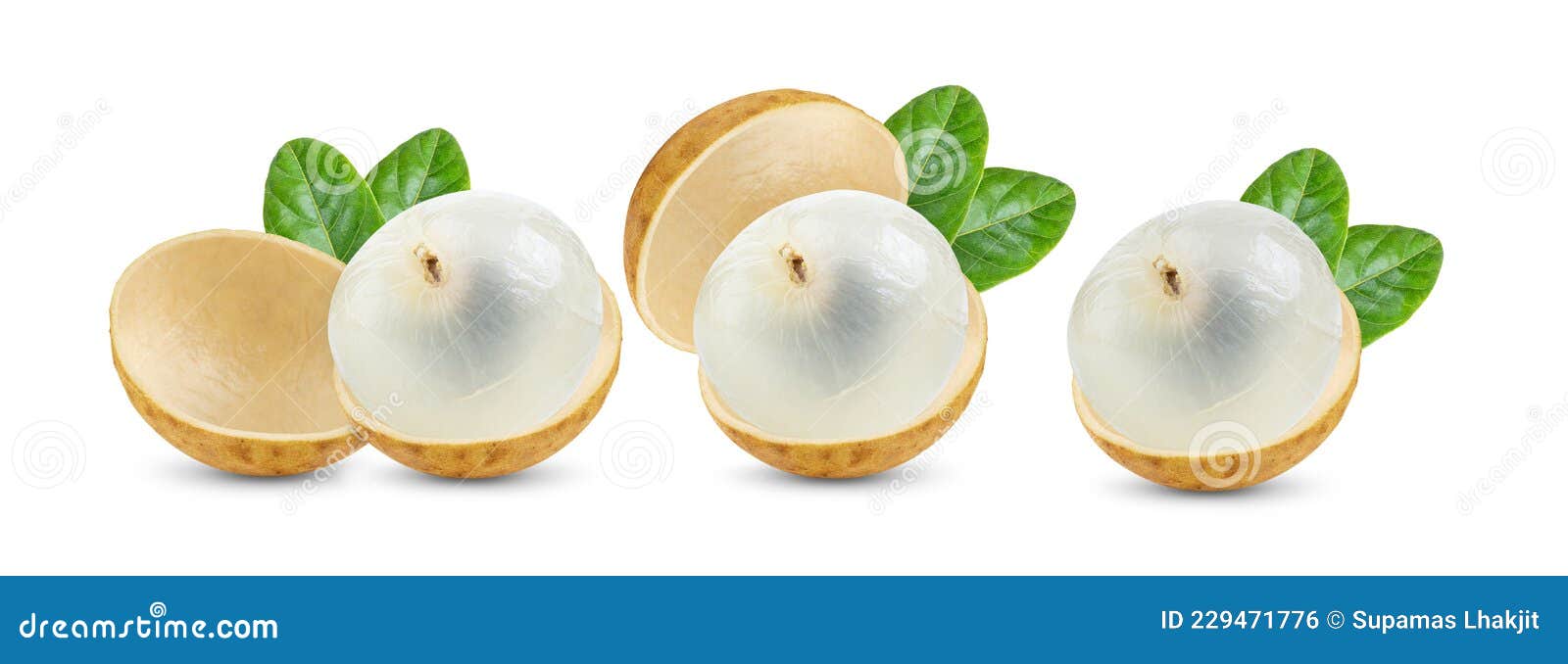 Longan with Leaf Isolated on White Stock Photo - Image of background ...