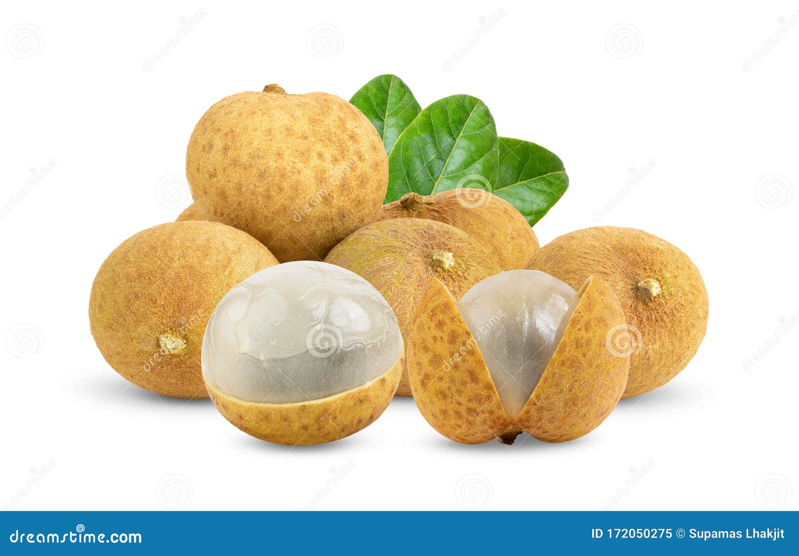 Longan with Leaf Isolated on White Stock Image - Image of thailand ...